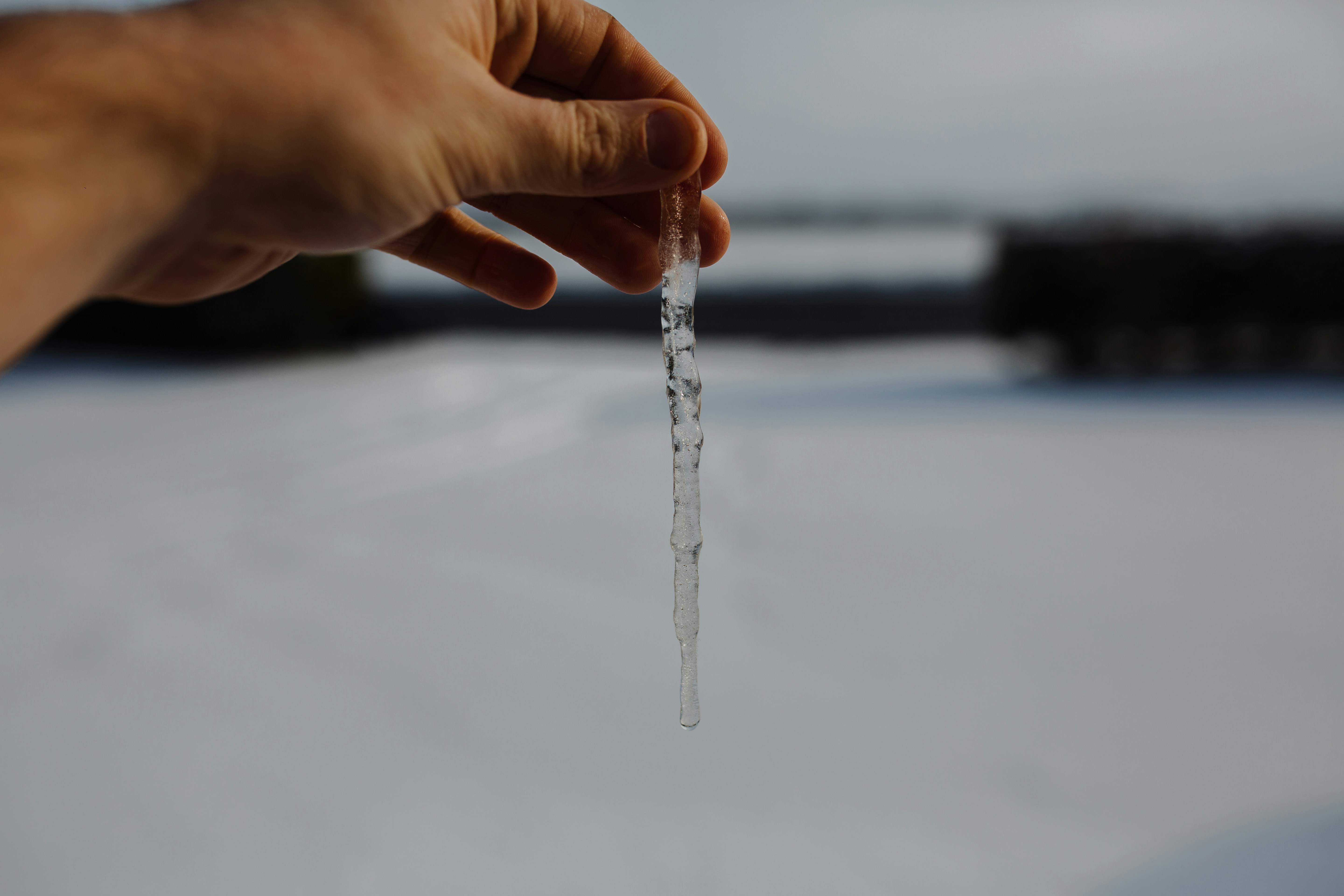 Frozen Elegance: Nature's Icicle Artistry