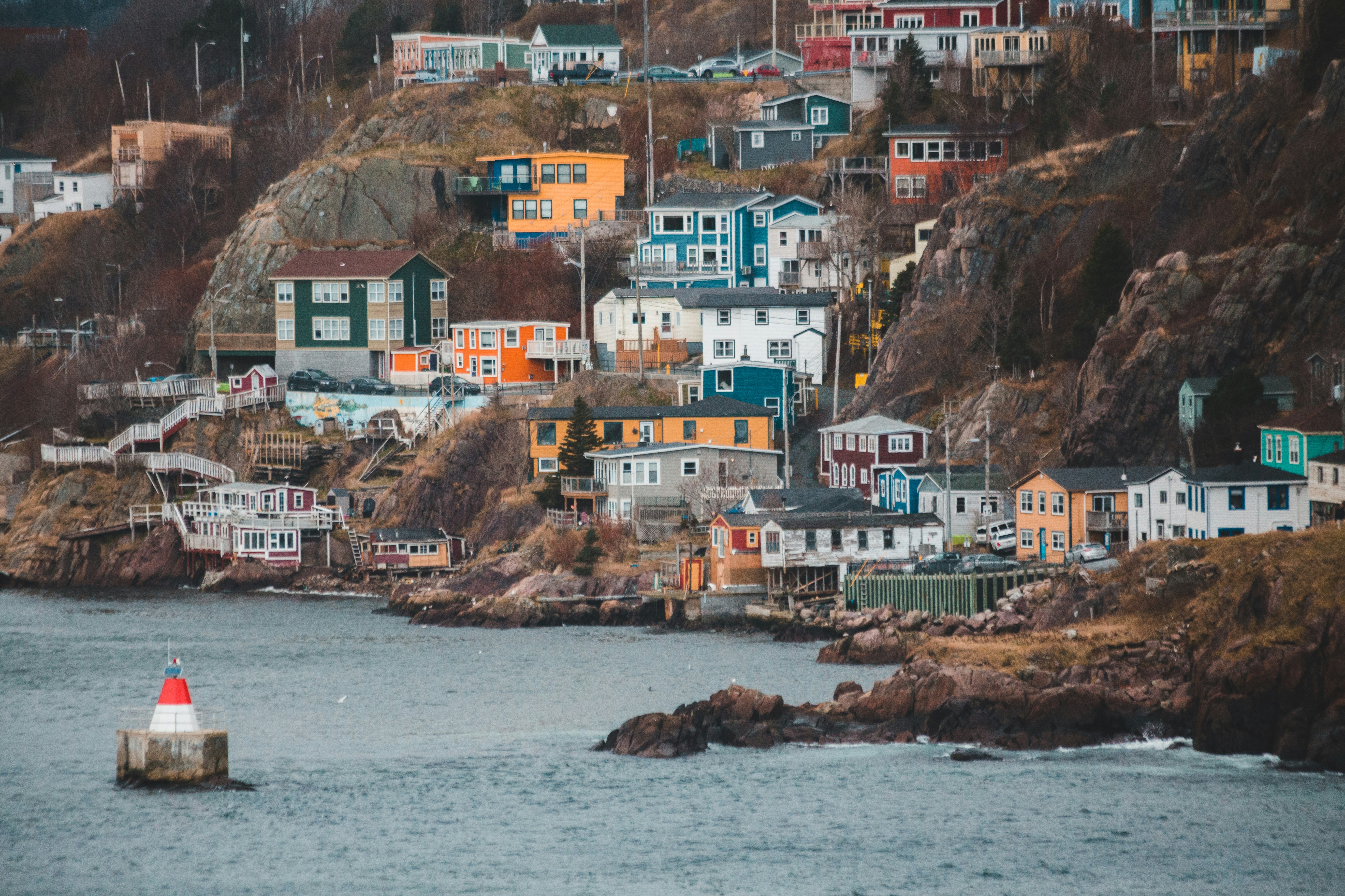 45,628+ Newfoundland Pictures | Download Free Images on Unsplash