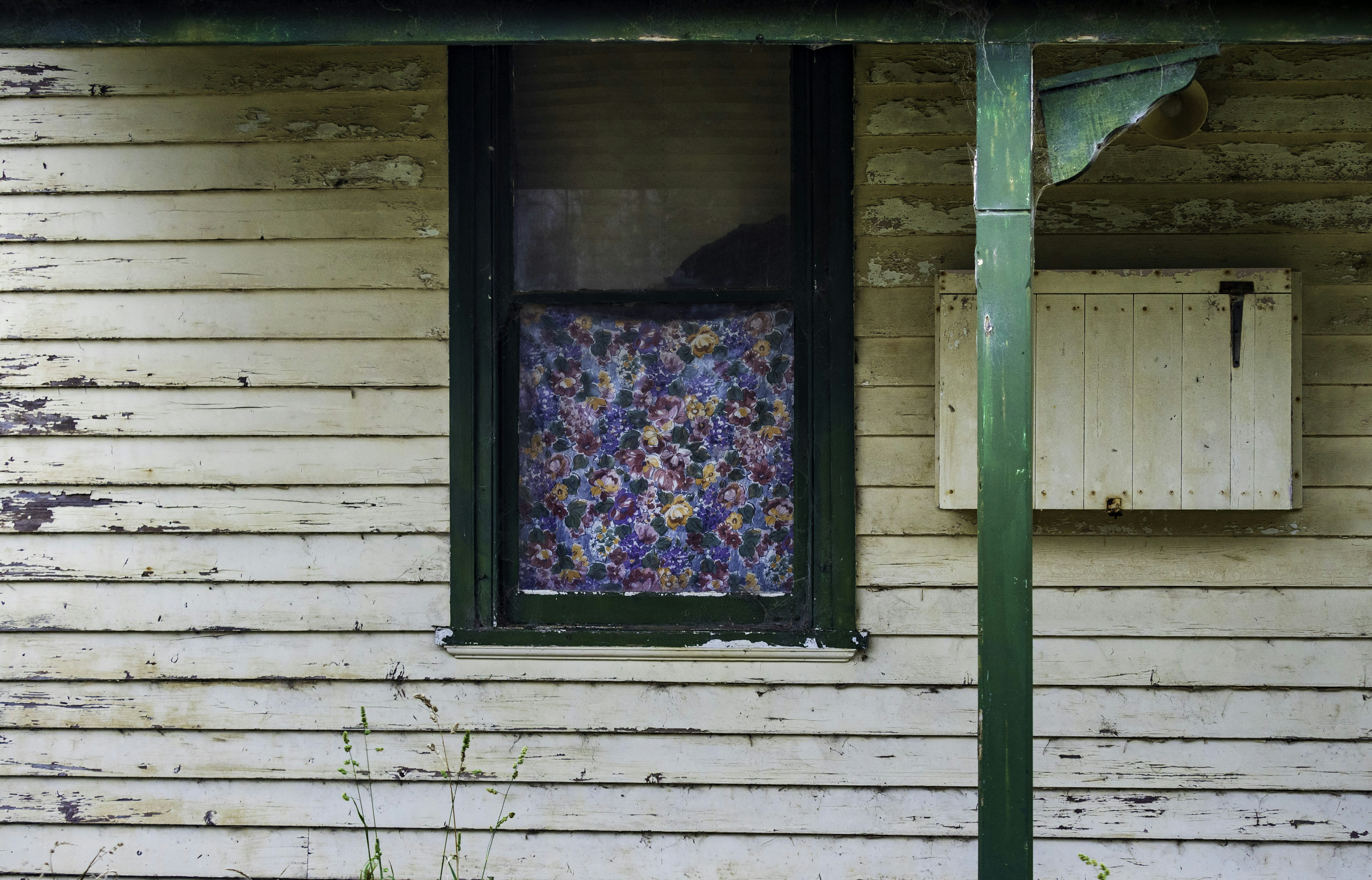 Weathered Siding and Floral Window: A Quiet Porch Portrait