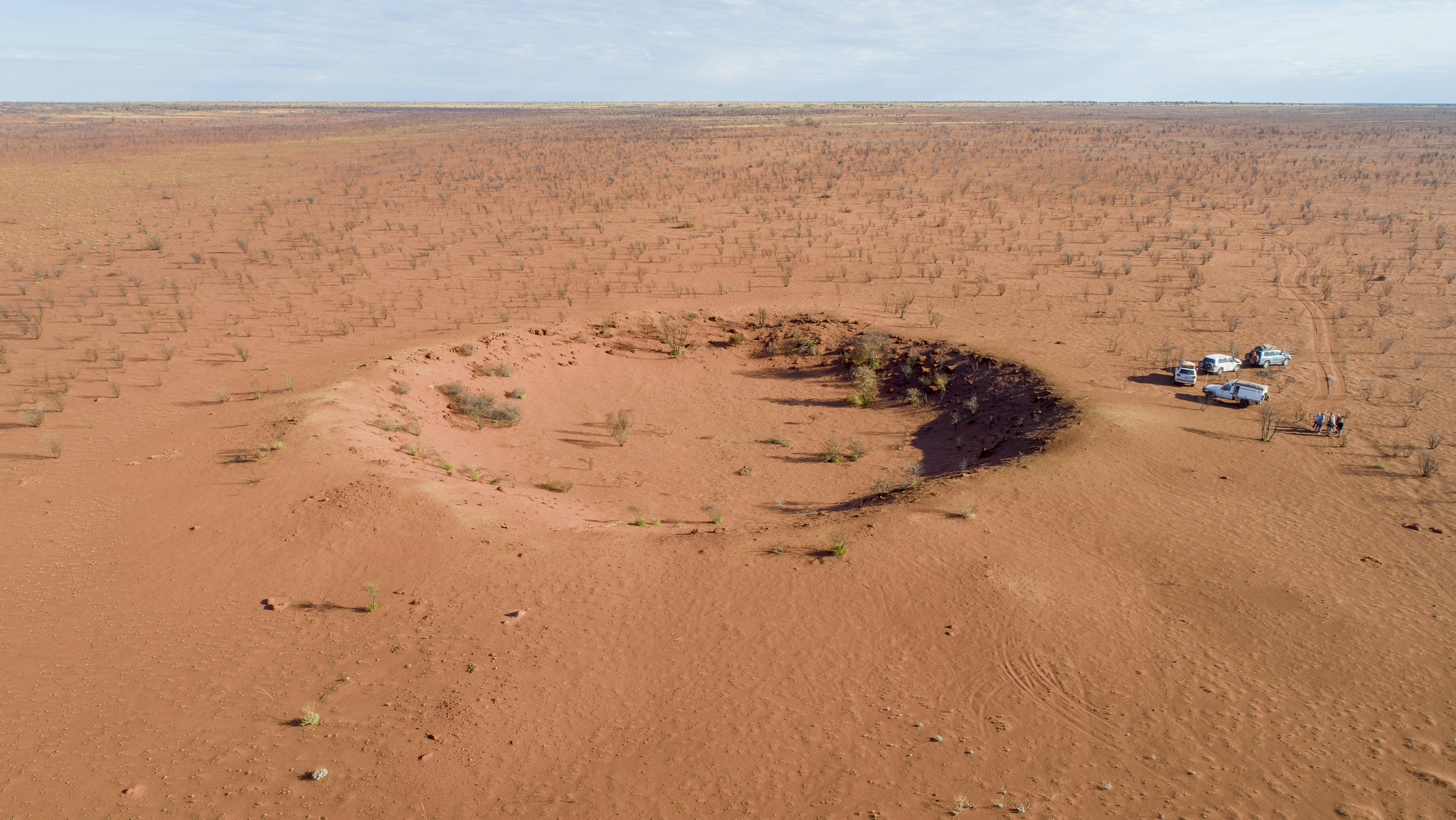 The Desert Ring: A Circular Patch of Life in a Sea of Sand