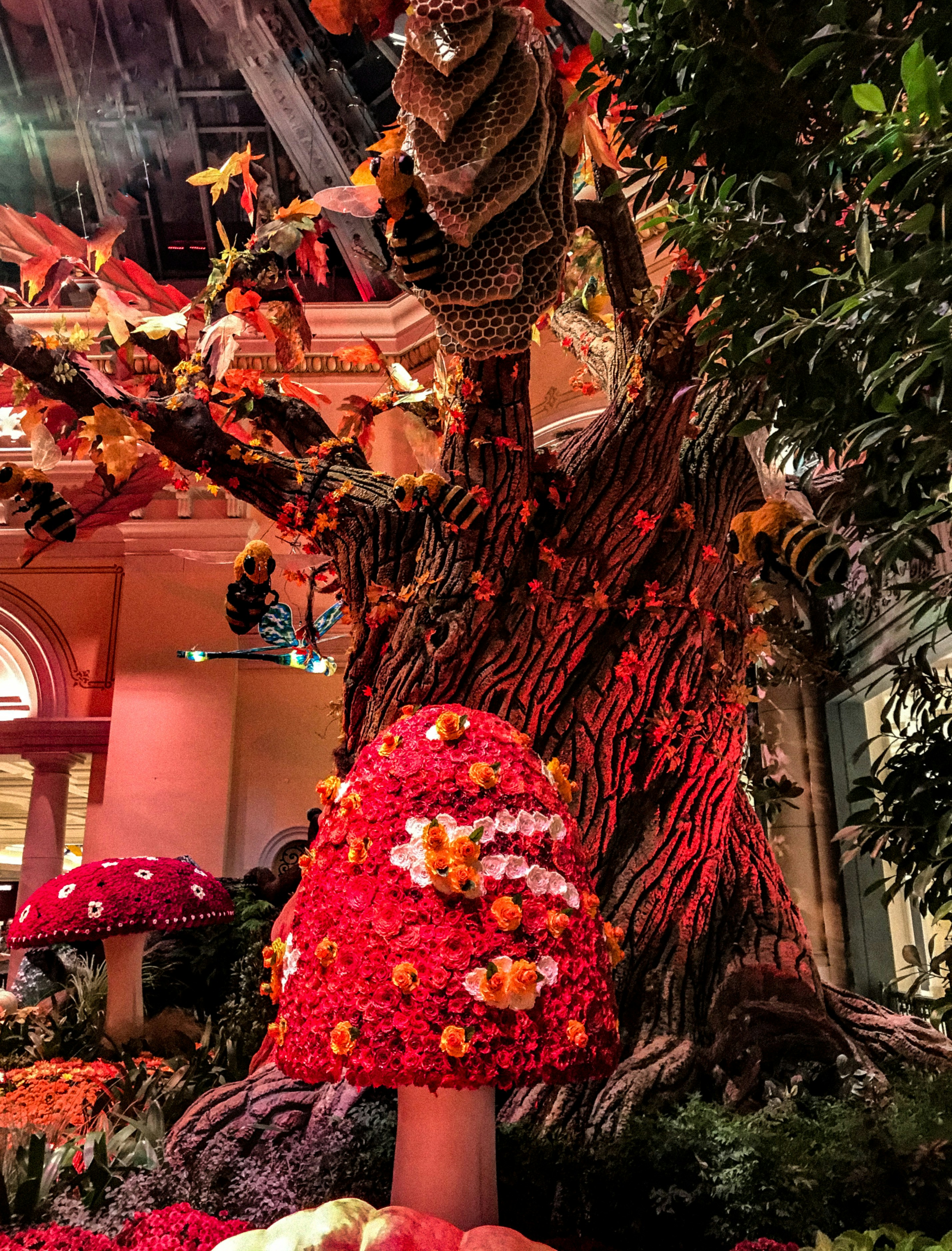 Arias Jay (@janethar) | Unsplash Photo Community