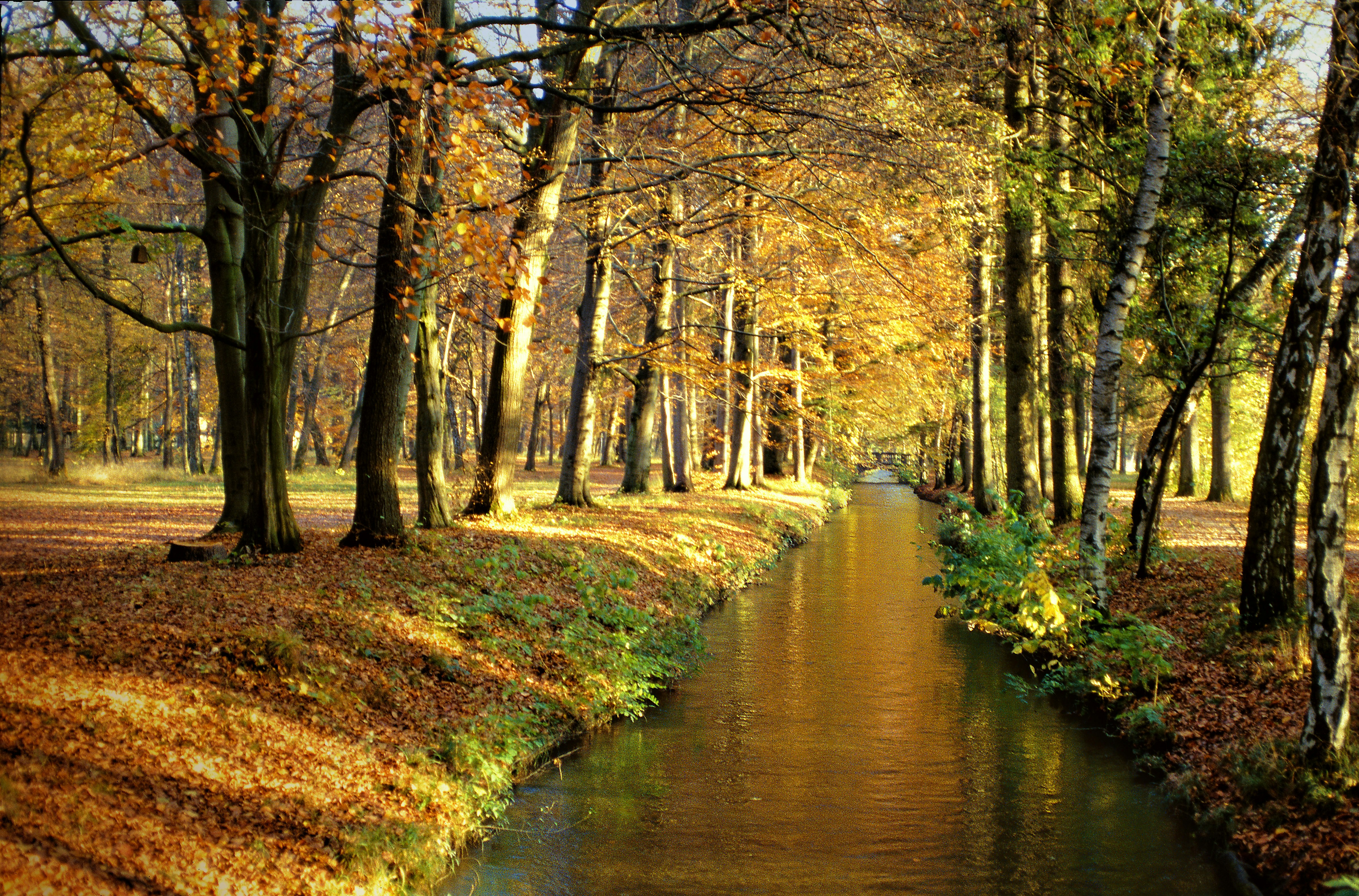 Tranquil river flanked by trees with vibrant autumn foliage under soft sunlight.