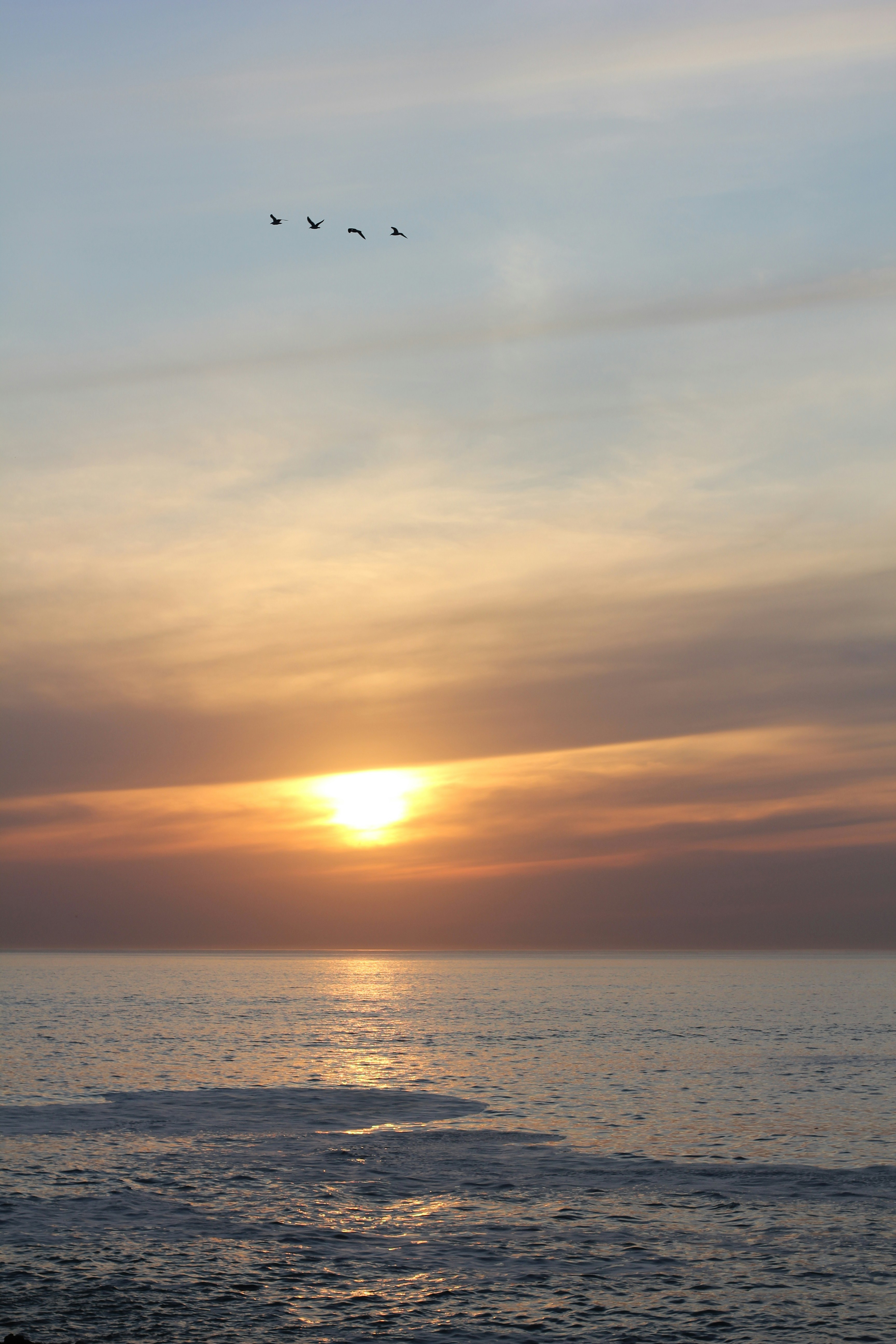 Horizon Fire at Dusk: A Flock Crossing the Quiet Sea