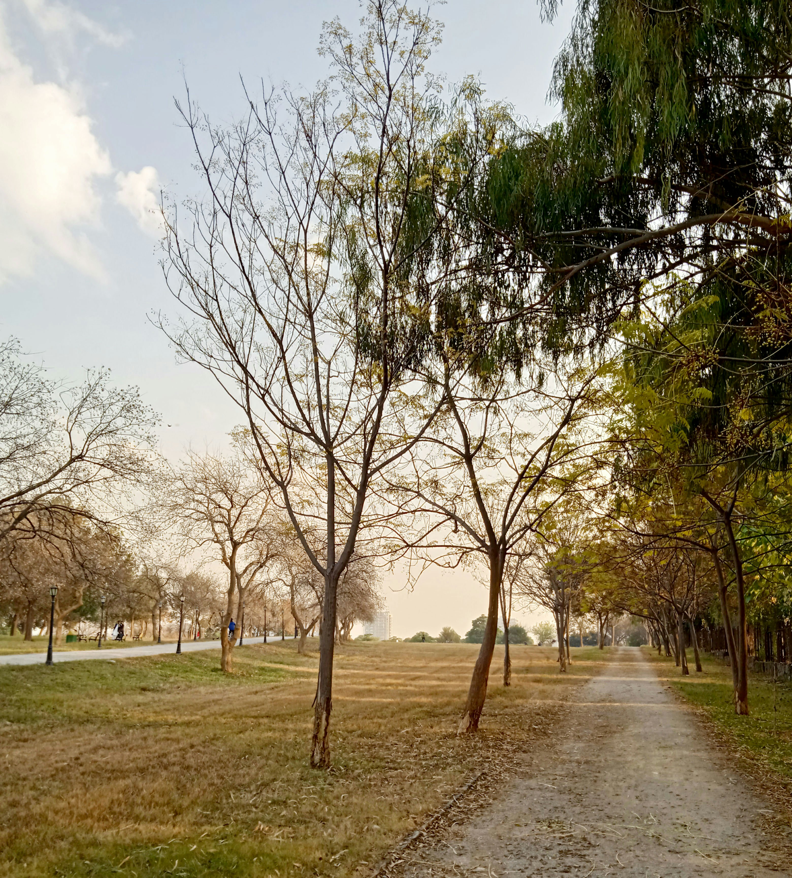 Sajid Khan (@sajidnsr) | Unsplash 사진 커뮤니티