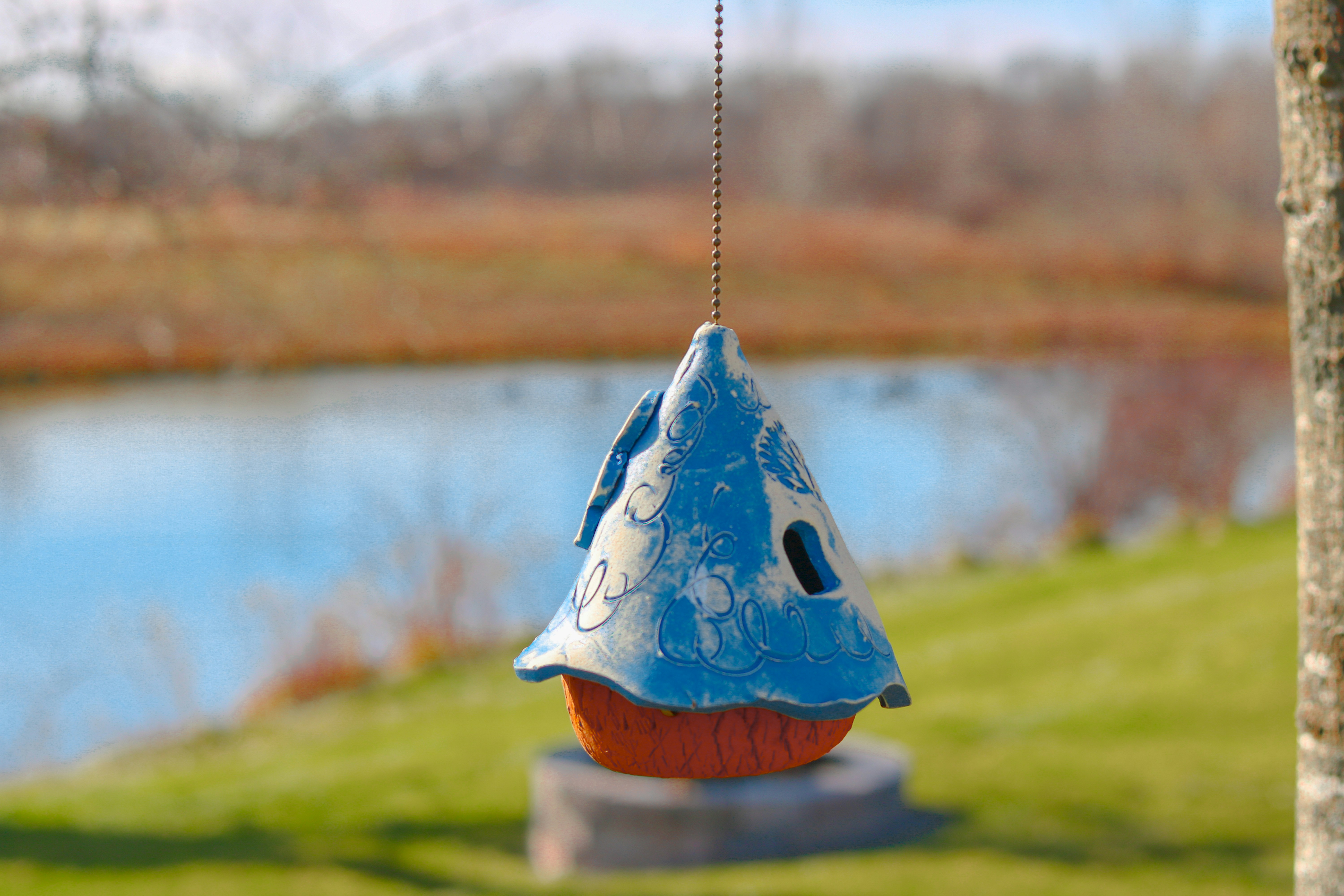 Azure Birdhouse on a Chain: Quiet Geometry by a Park Pond