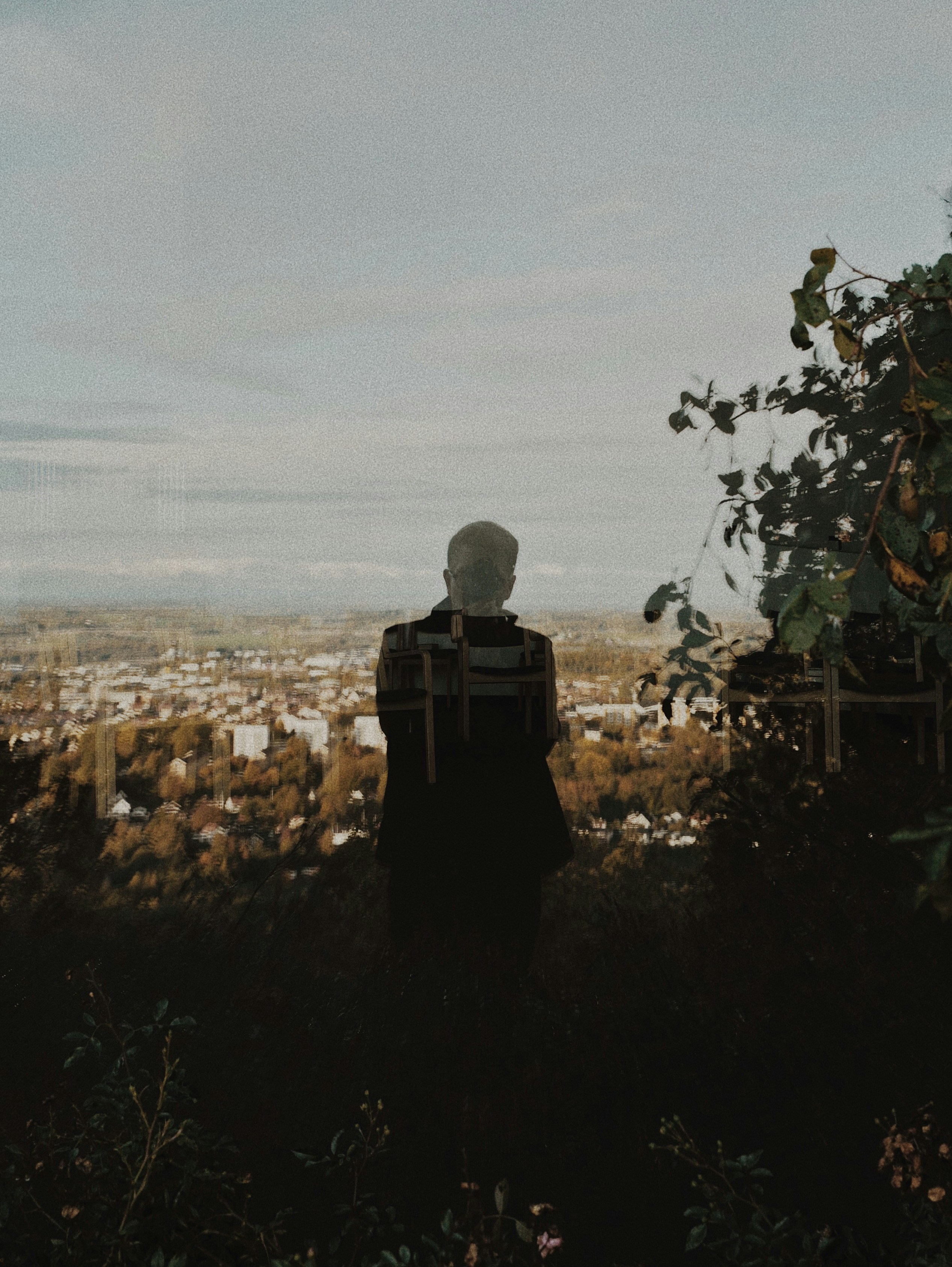 Dusk Silhouette: A Quiet Gaze Toward the Distant City