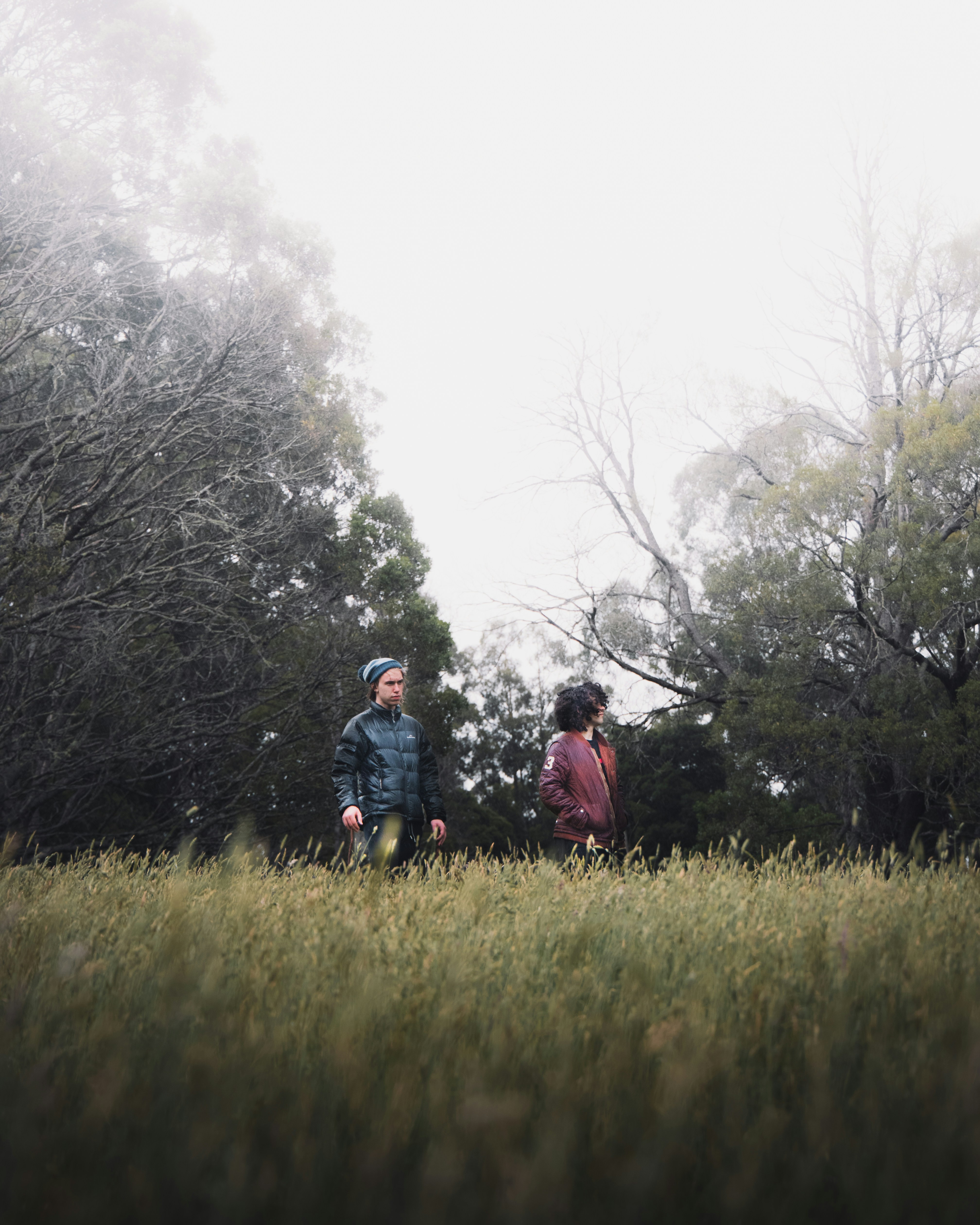 People walking on green grass field during daytime photo – Free ...