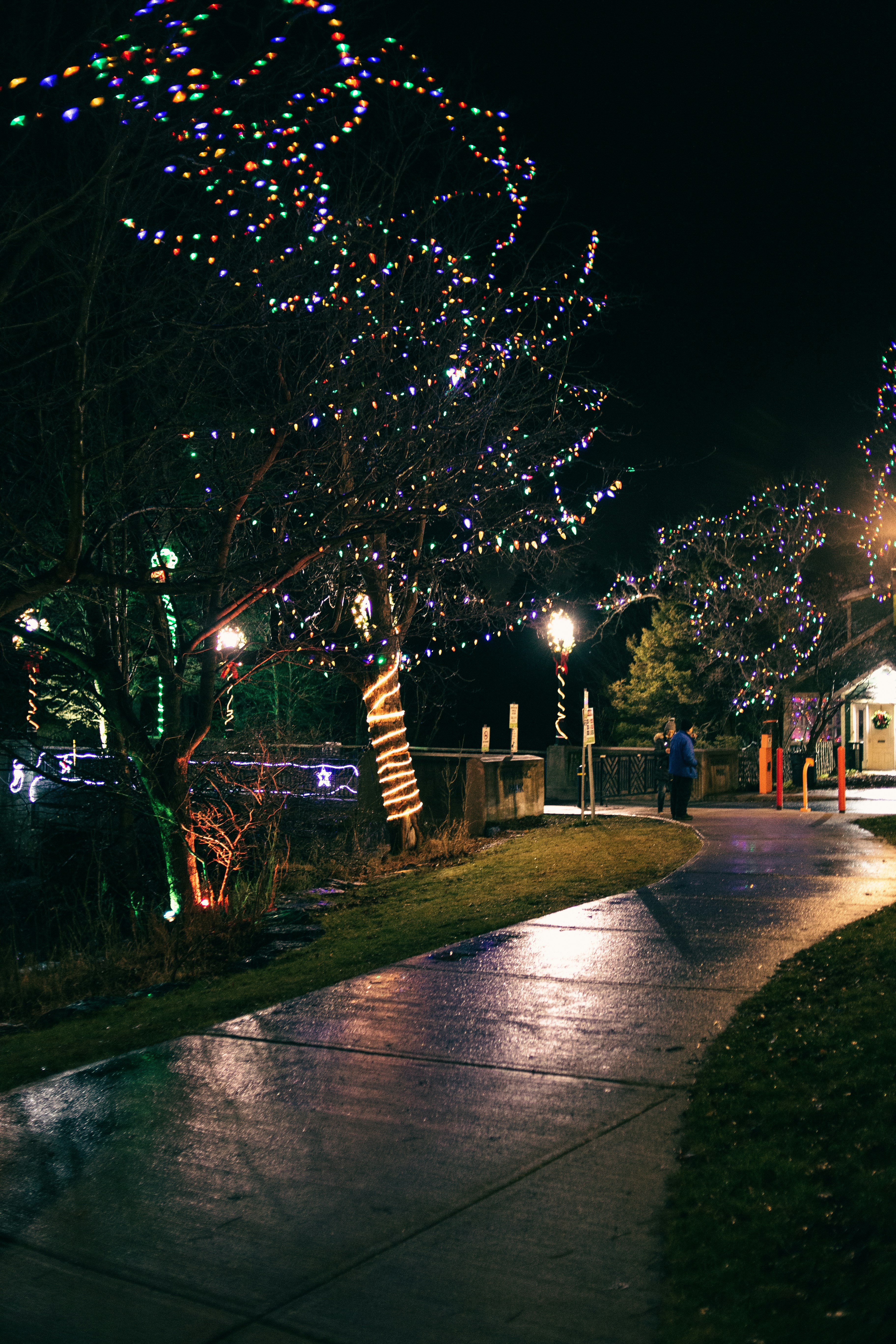 Glowing holiday path: lights, reflections, and quiet snowfall under a night sky