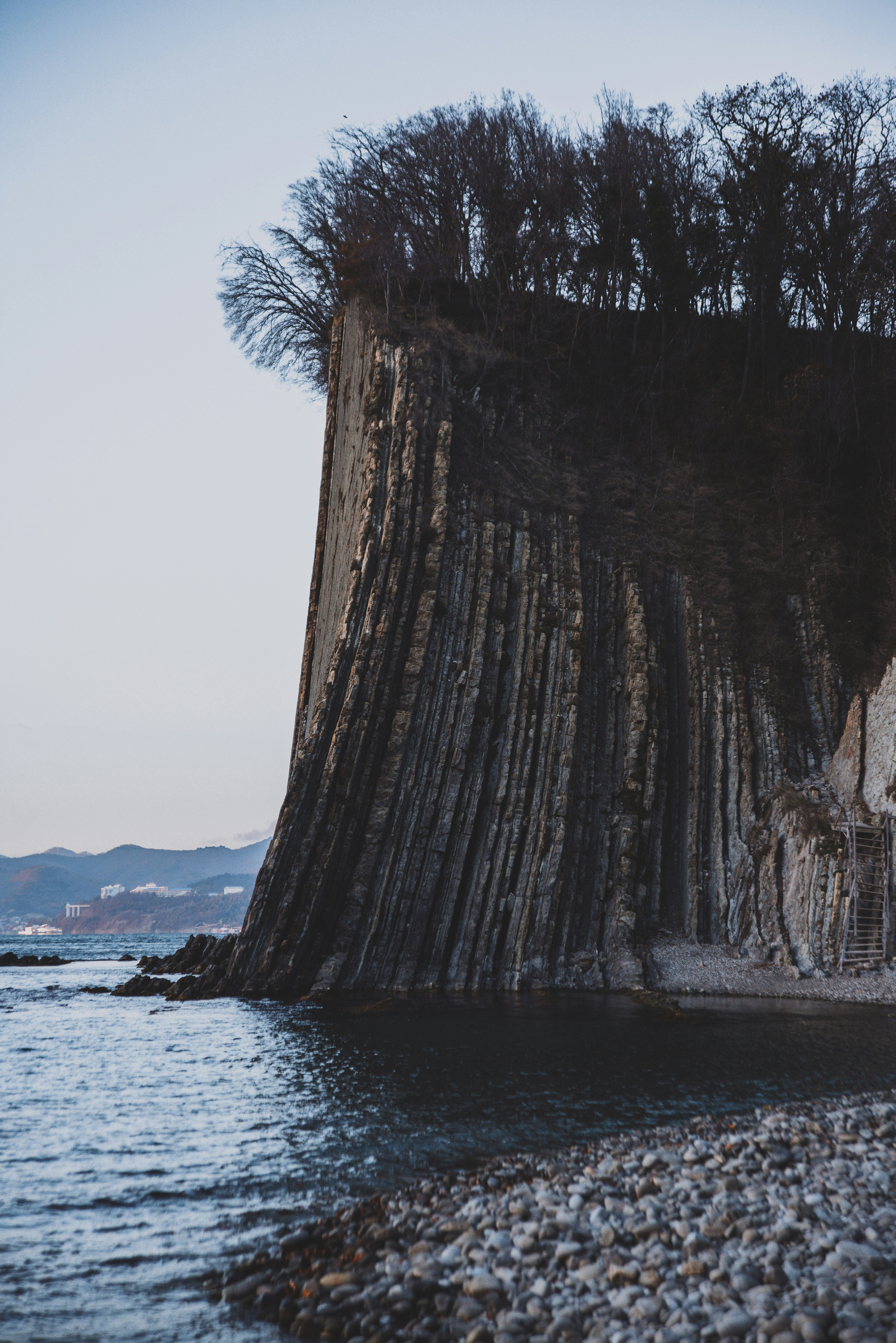 Basalt Promontory: Trees Crown a Striated Cliff Over a Pebbled Shore
