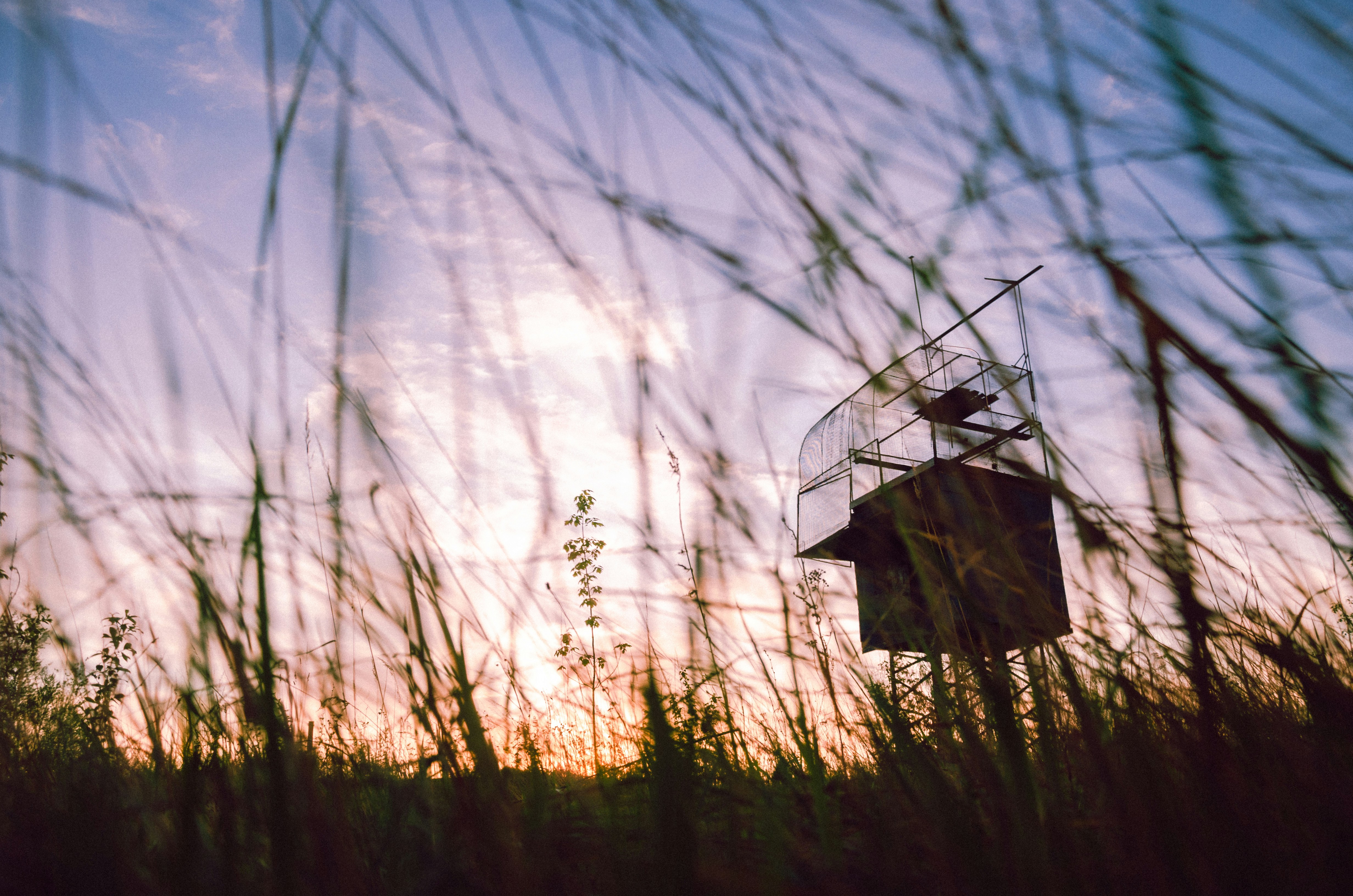 Silhouette of a birdwatching tower framed by tall grass against a pastel sky at dusk.