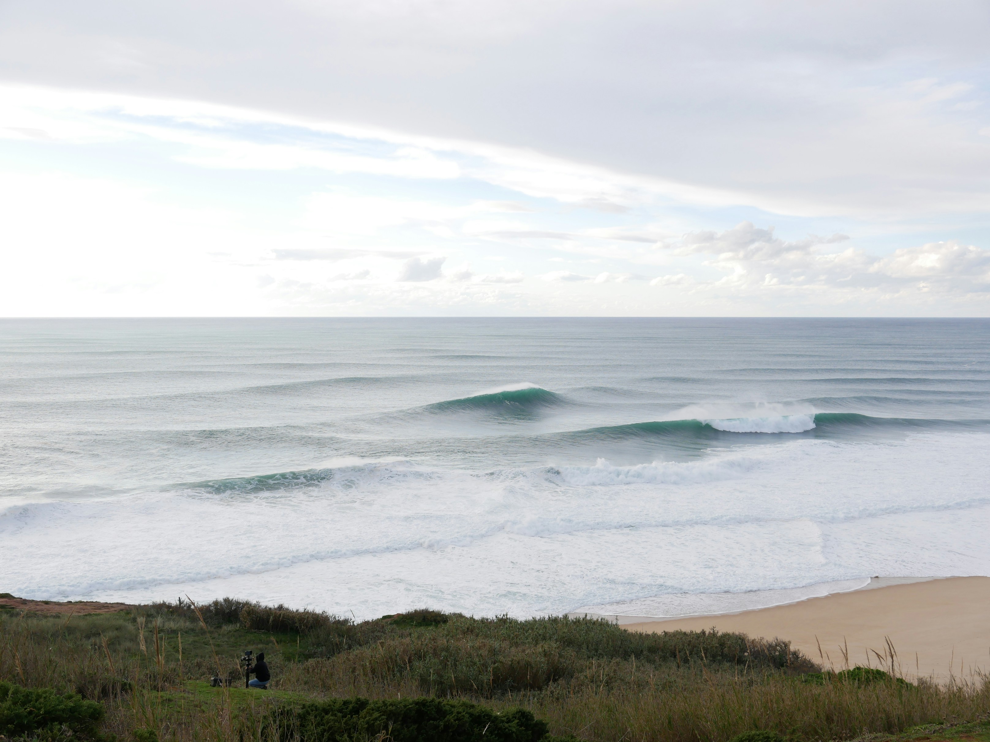 Green grass field near sea under white clouds during daytime photo ...