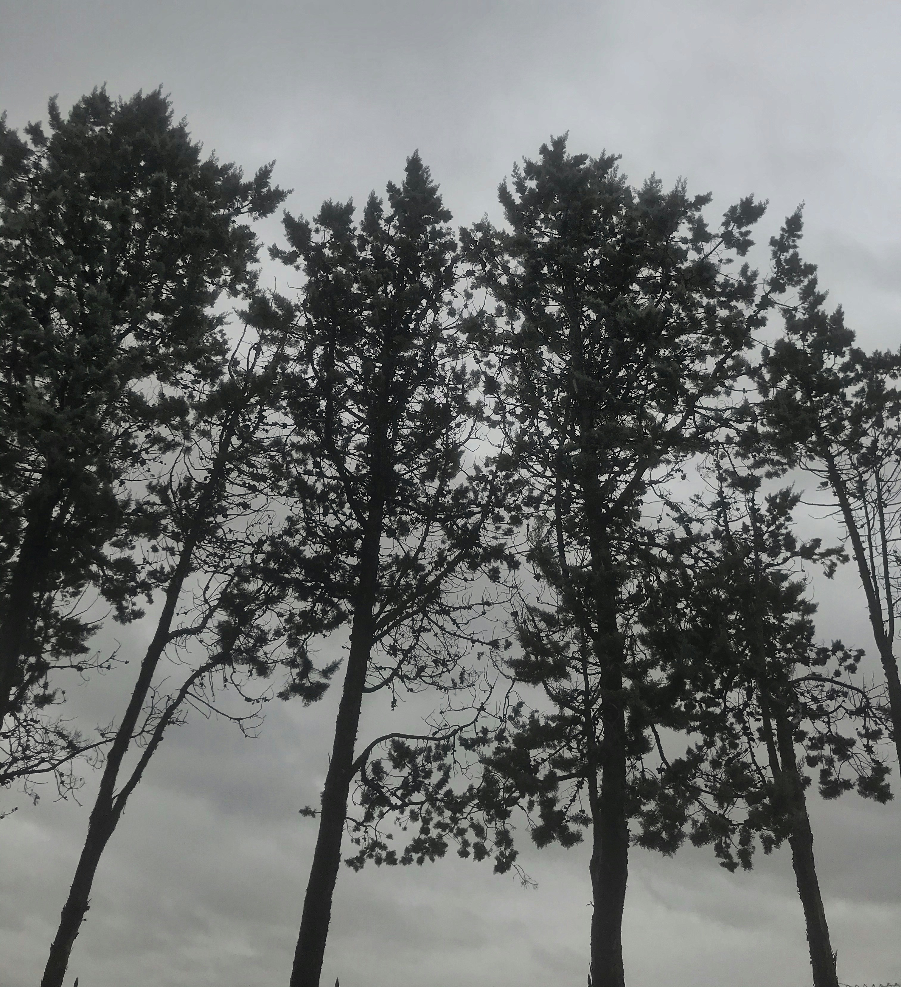 Francesco Zof (@francescozof) | Unsplash Photo Community