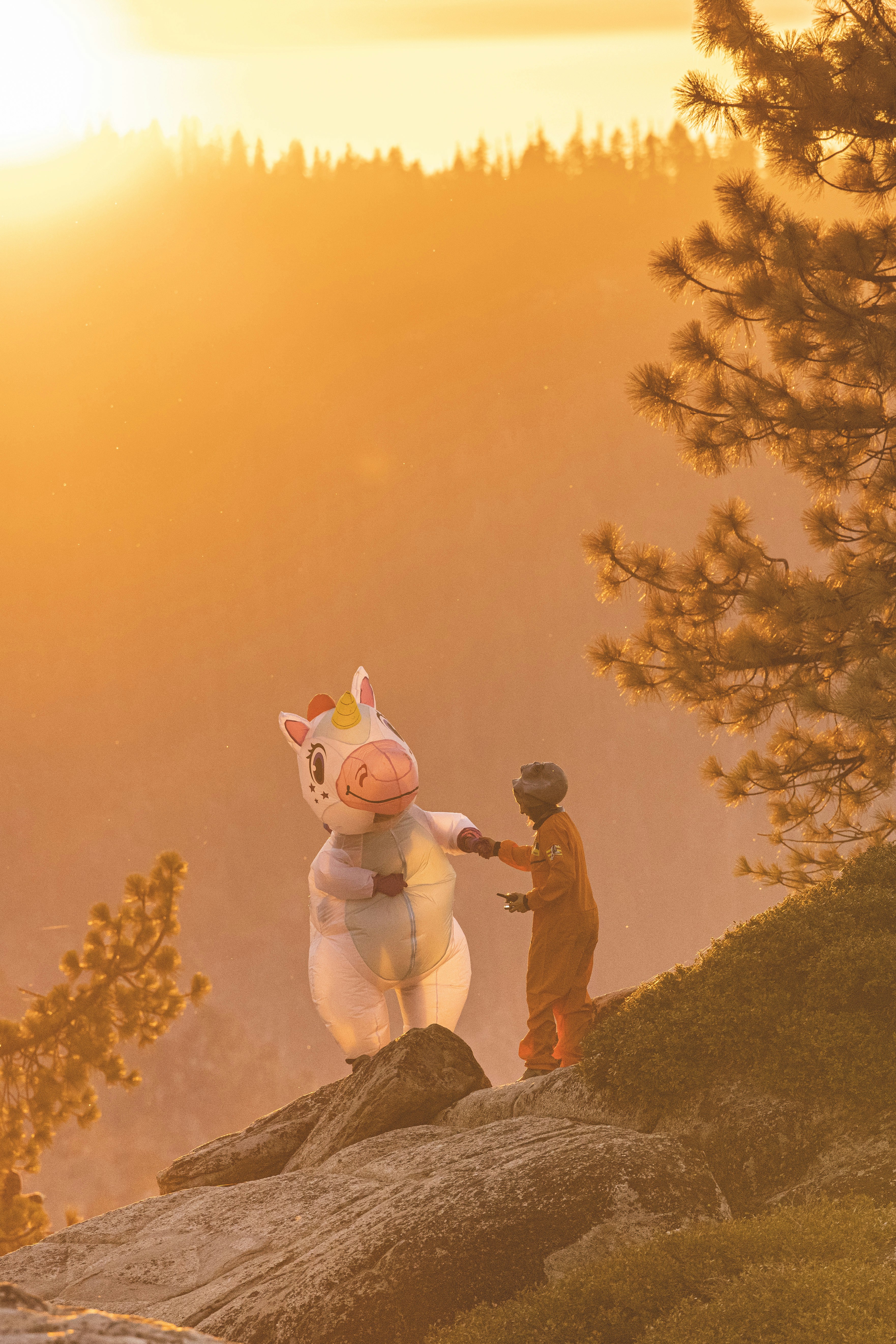 Sunlit Summit: A Toy Unicorn Meets a Small Friend at Dusk