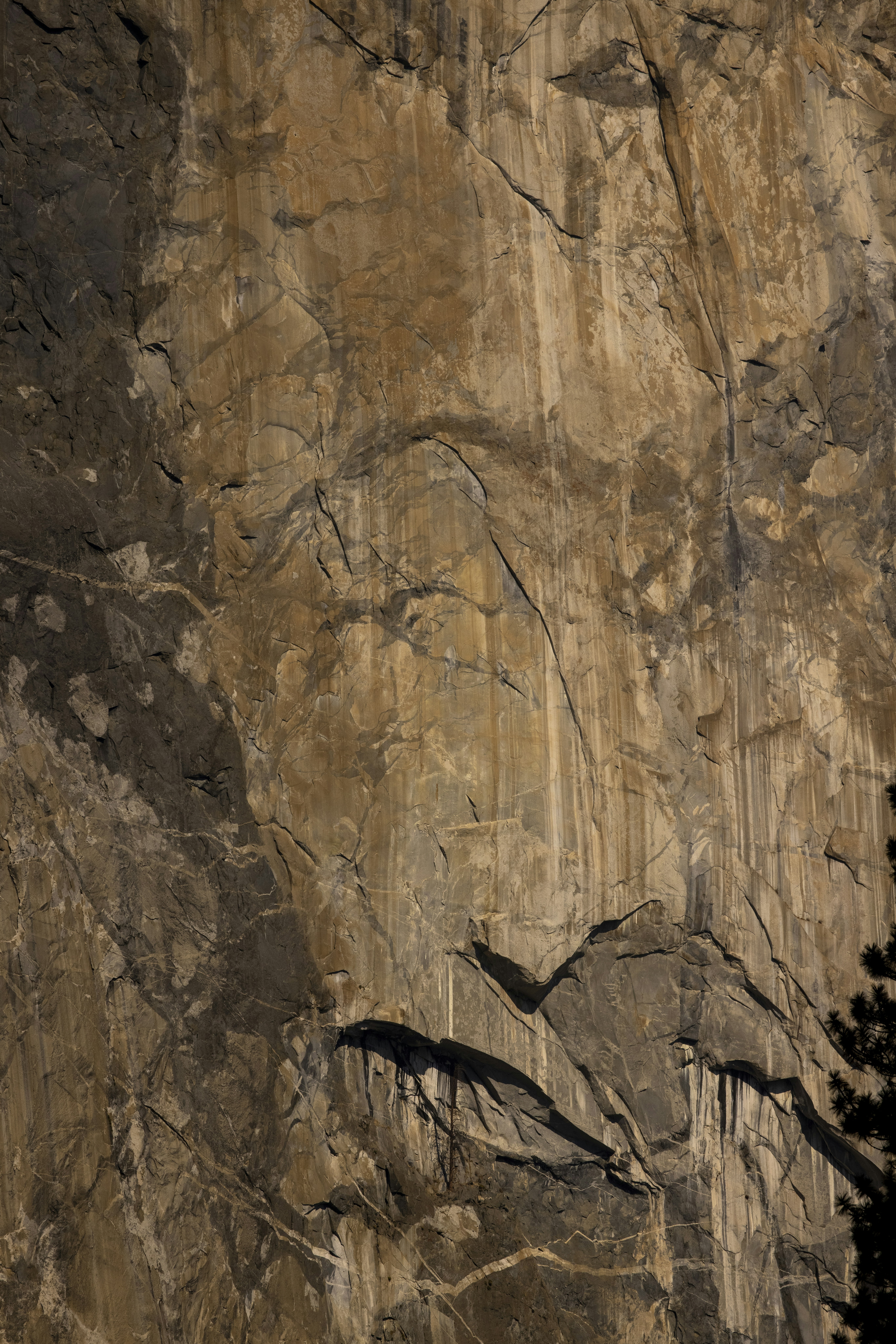 Yosemite photo shot on Canon EOS R5