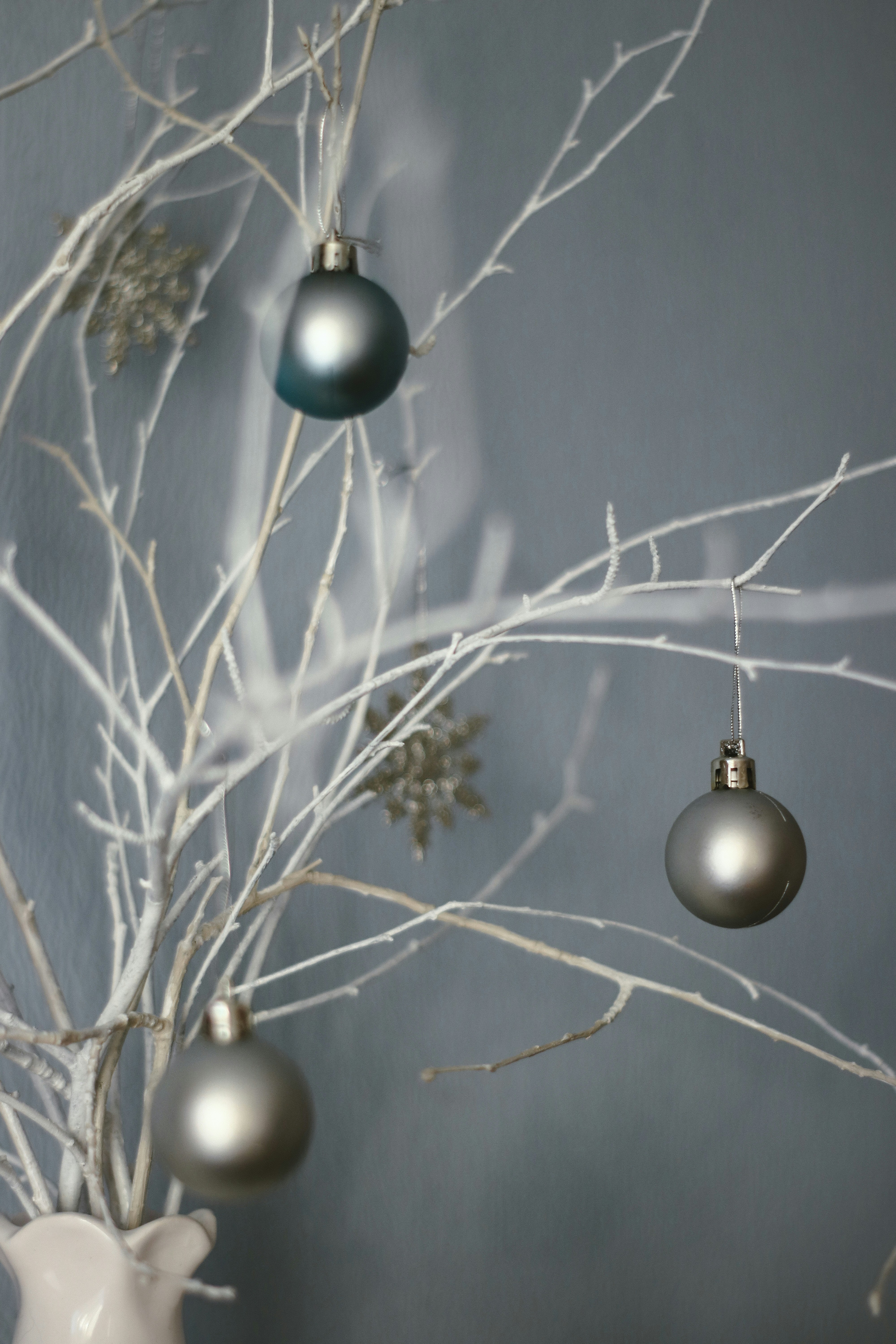 Teal Bauble Framed by Frosted Branches Against a Quiet Winter Backdrop