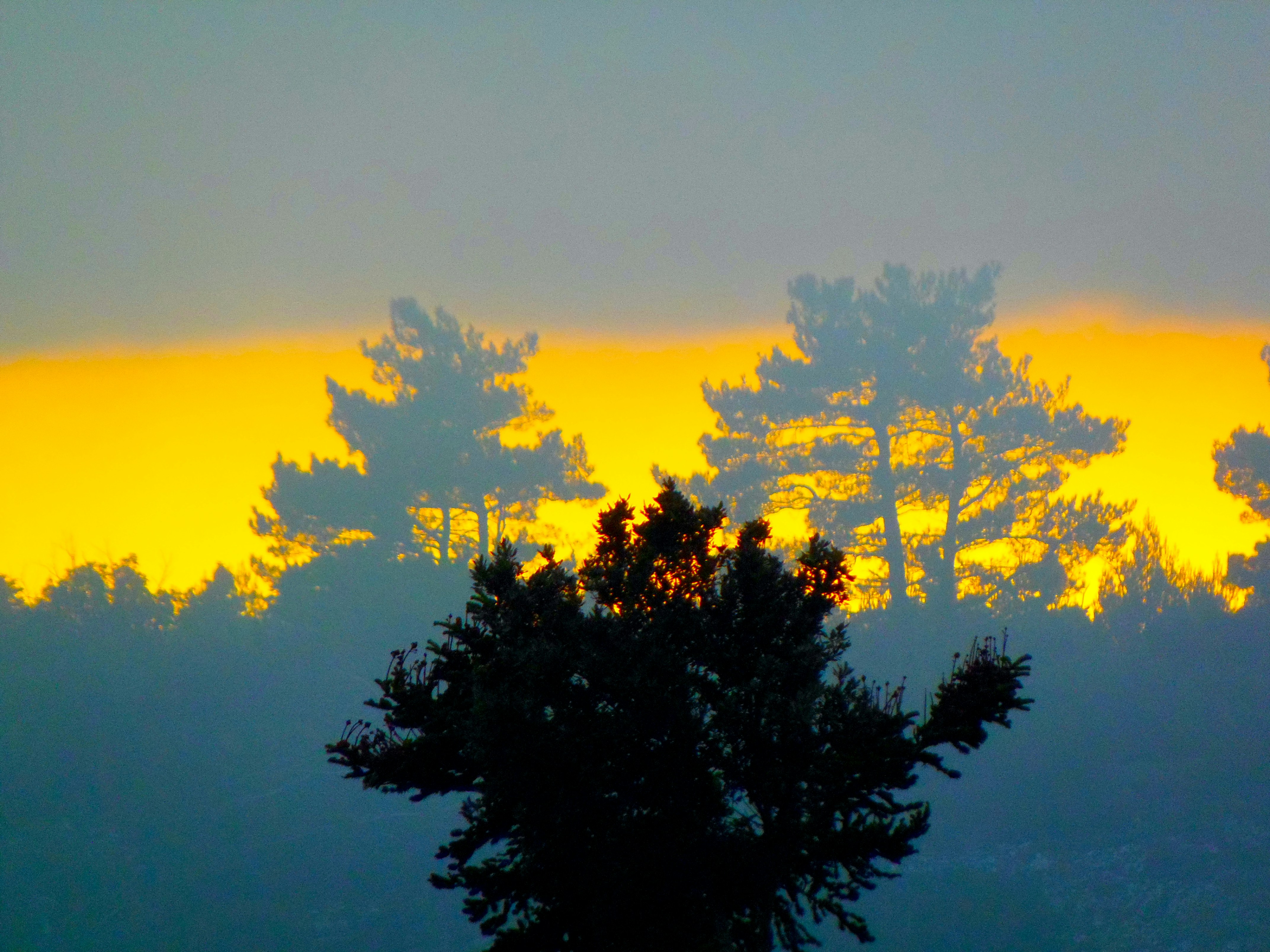 Landscape photograph of pine silhouettes against a bright orange dawn glow over a hazy horizon.