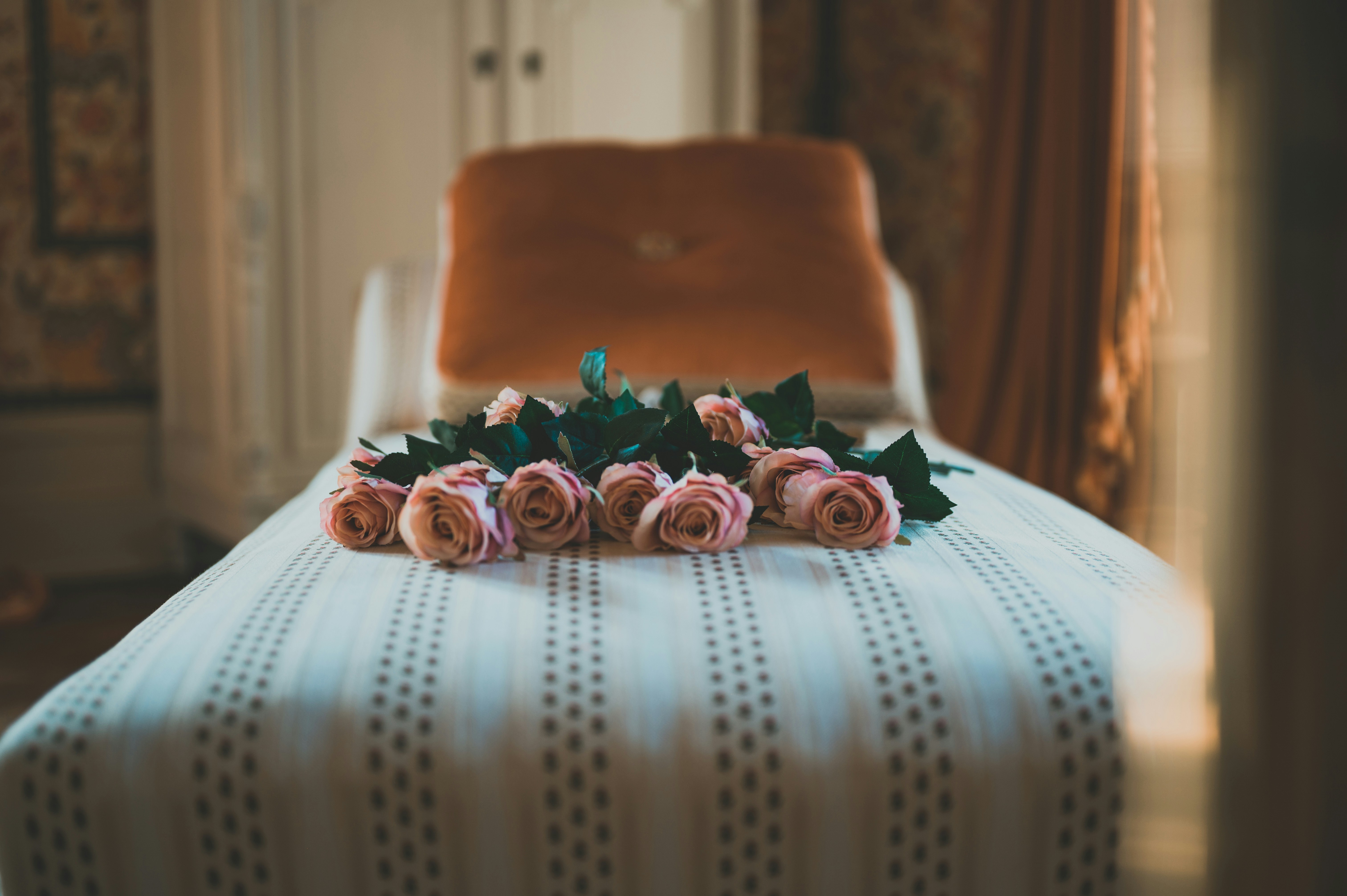 Sample photo from Nikon Z6