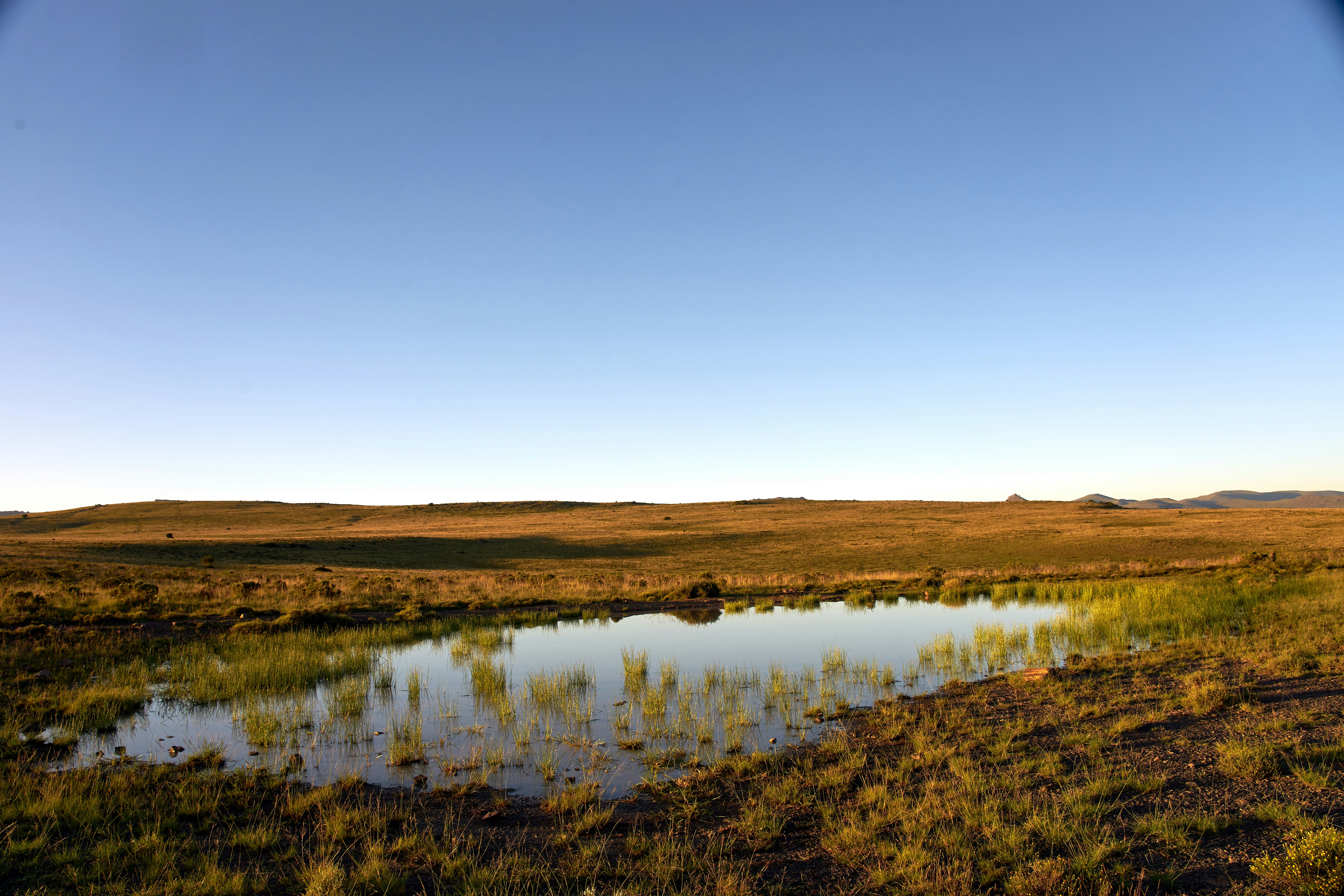 Green grass field near lake under blue sky during daytime photo – Free ...