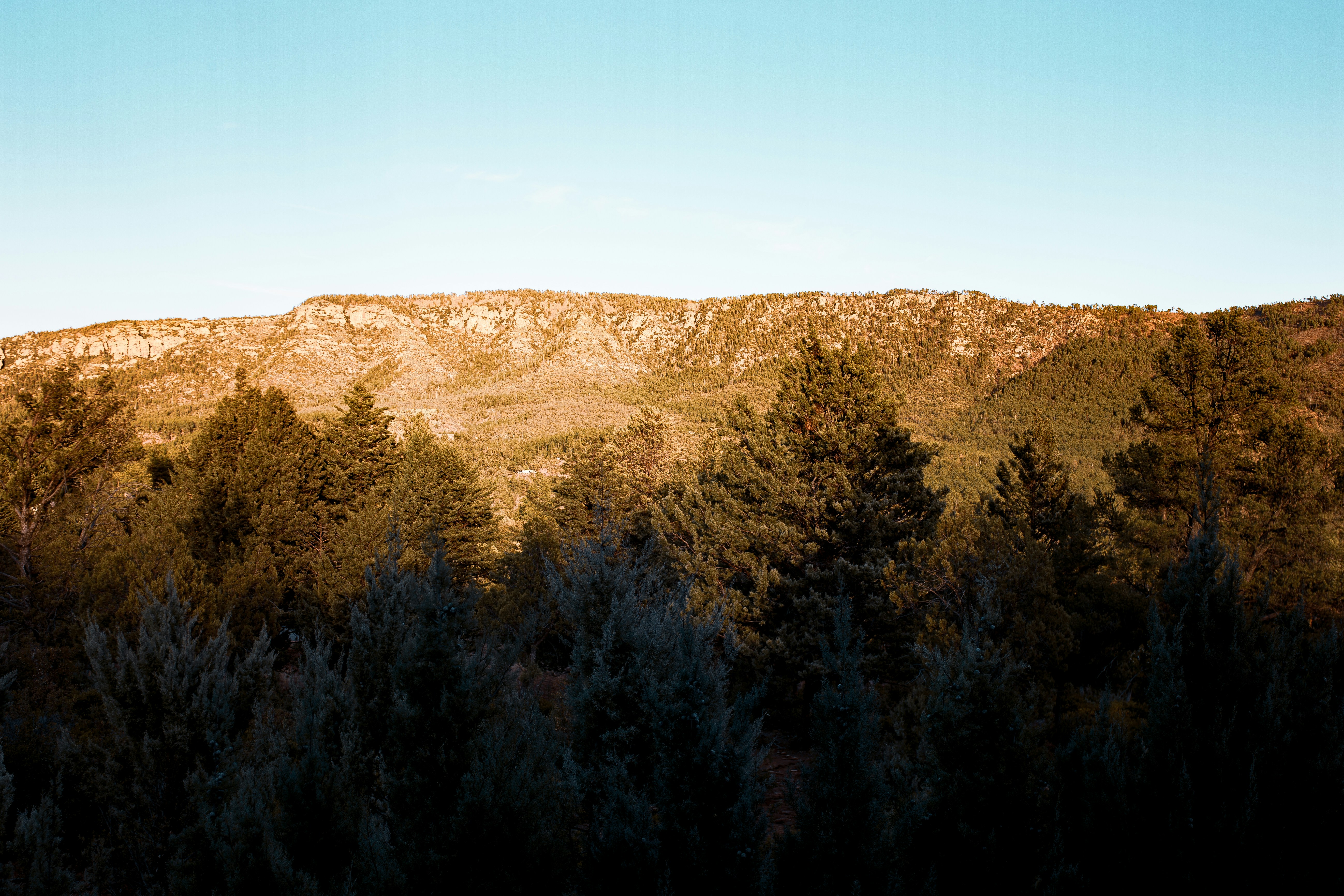 Green trees beneath a sunlit mountain ridge under a clear blue sky.