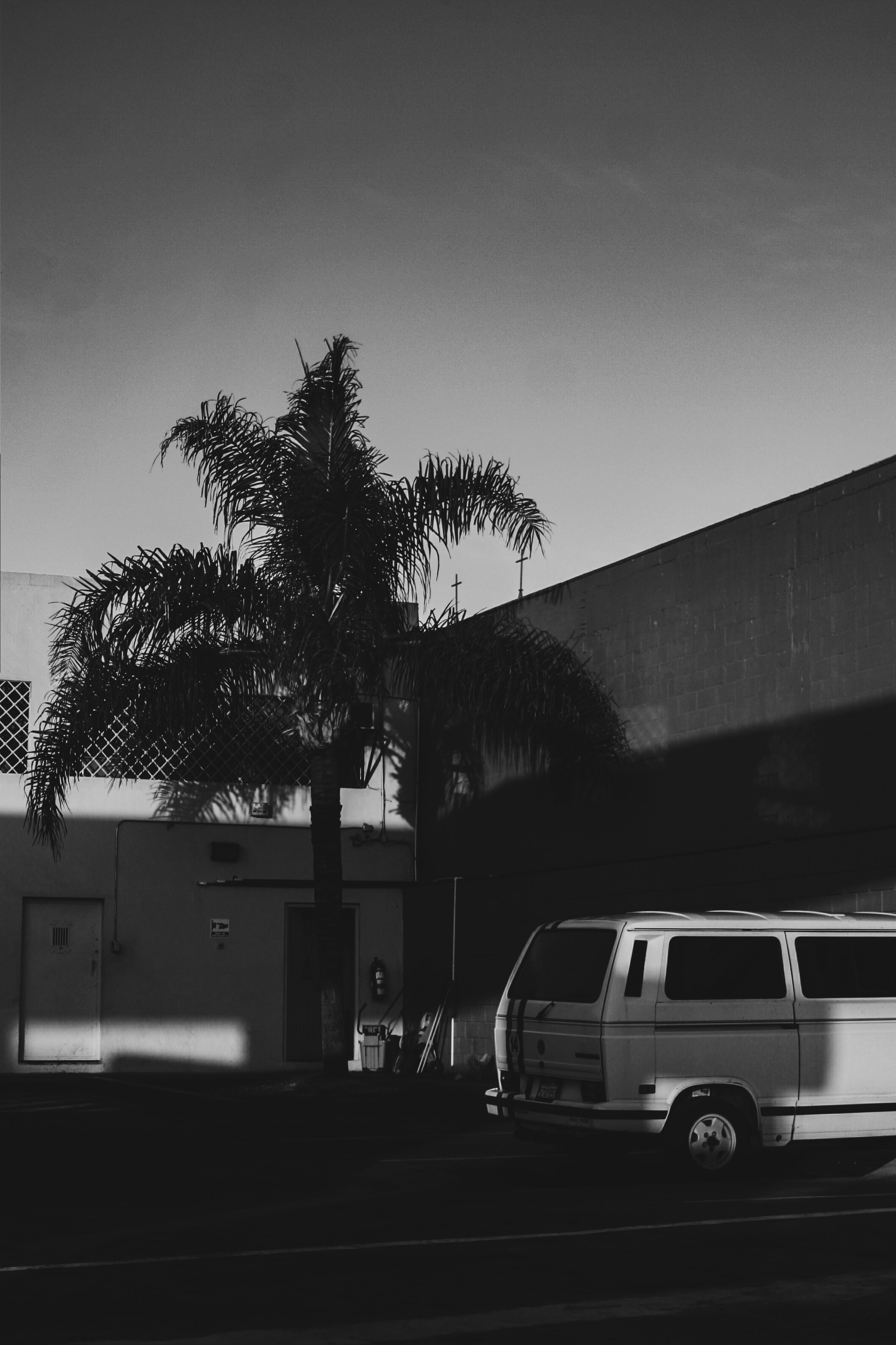 Palm Silhouettes Over a Shadowed Industrial Lot