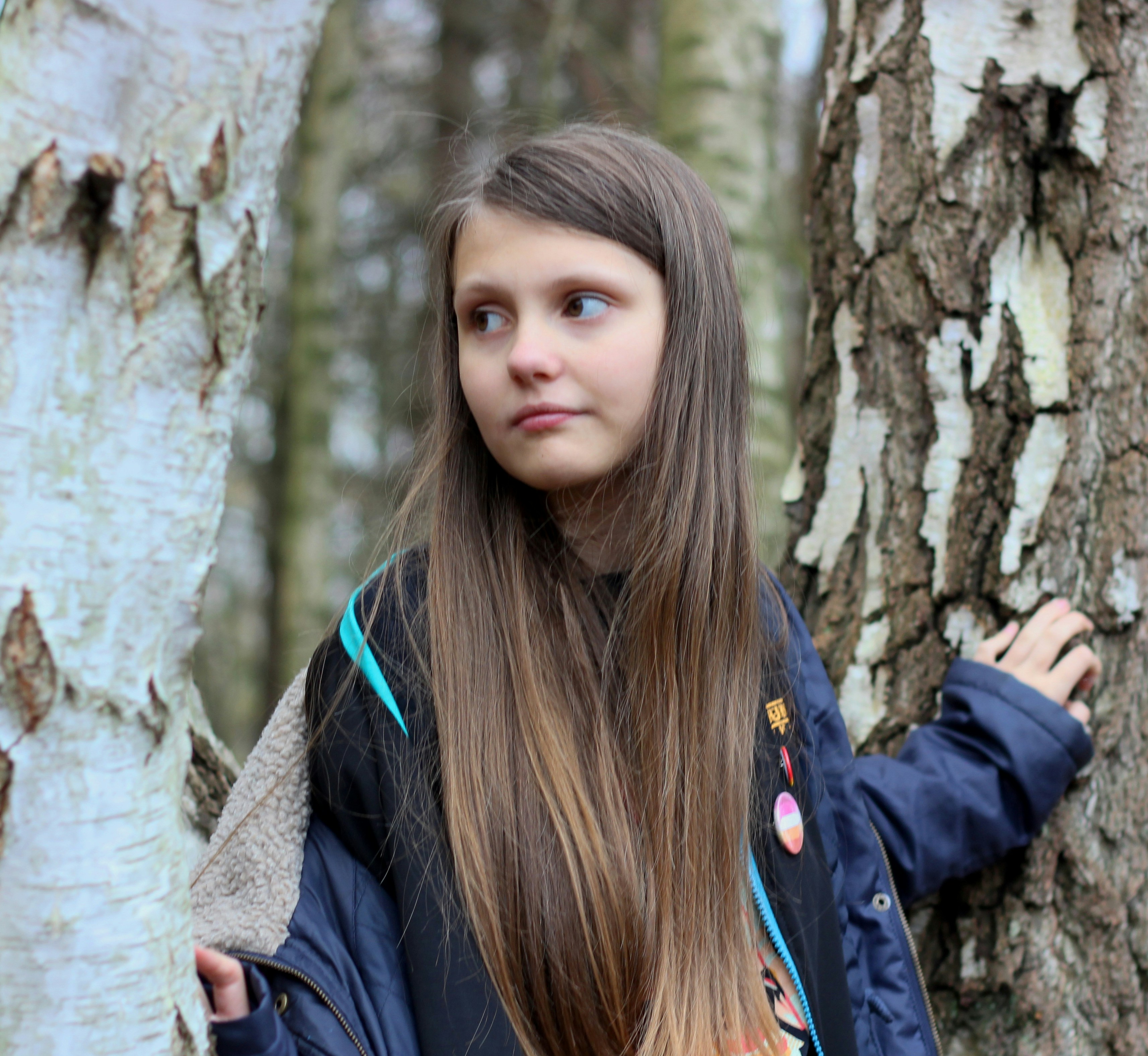 Between Birch Trunks: A Quiet Portrait of Curiosity
