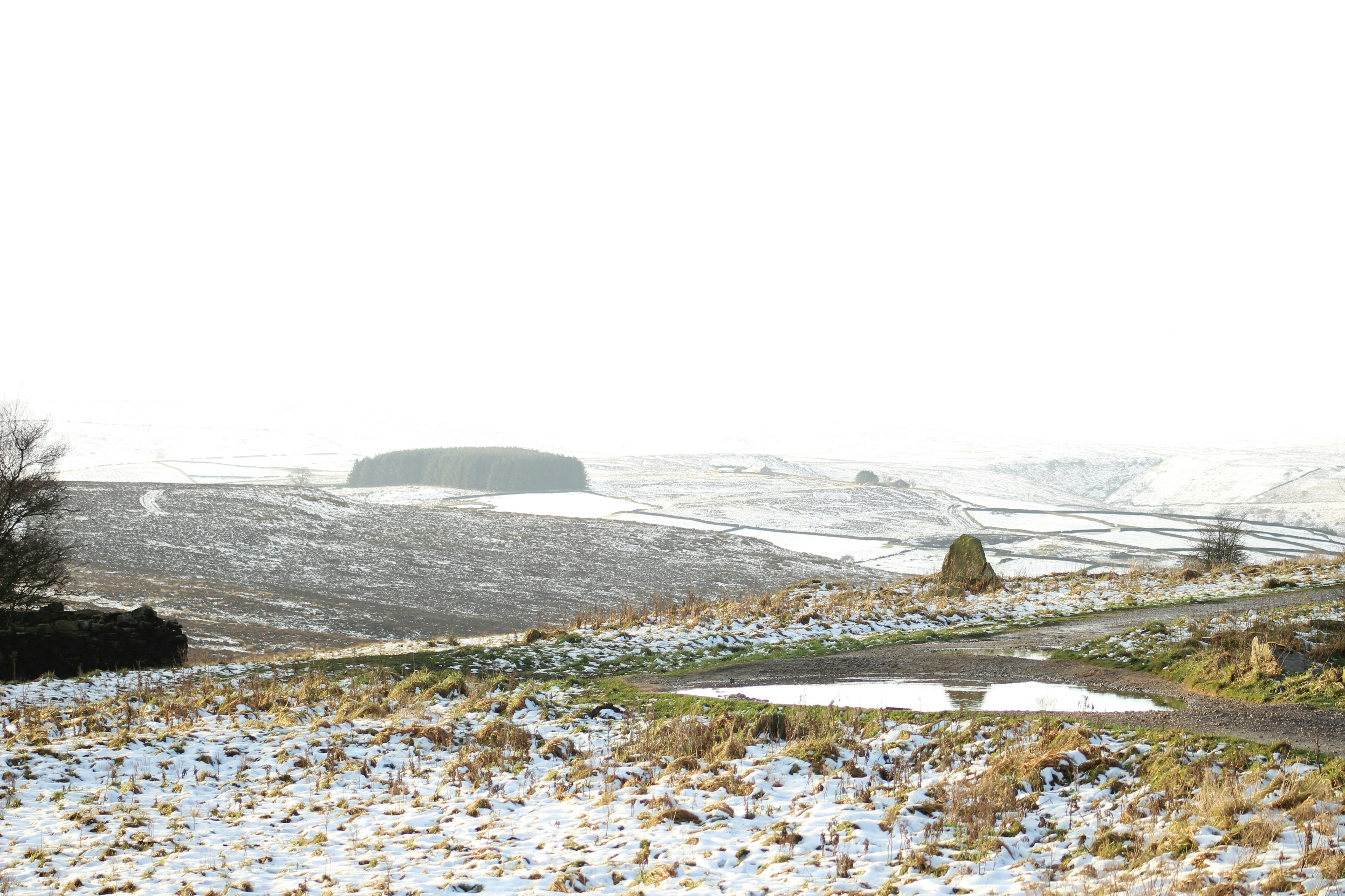 Gray scale photo of rocks on beach photo – Free Haworth Image on Unsplash