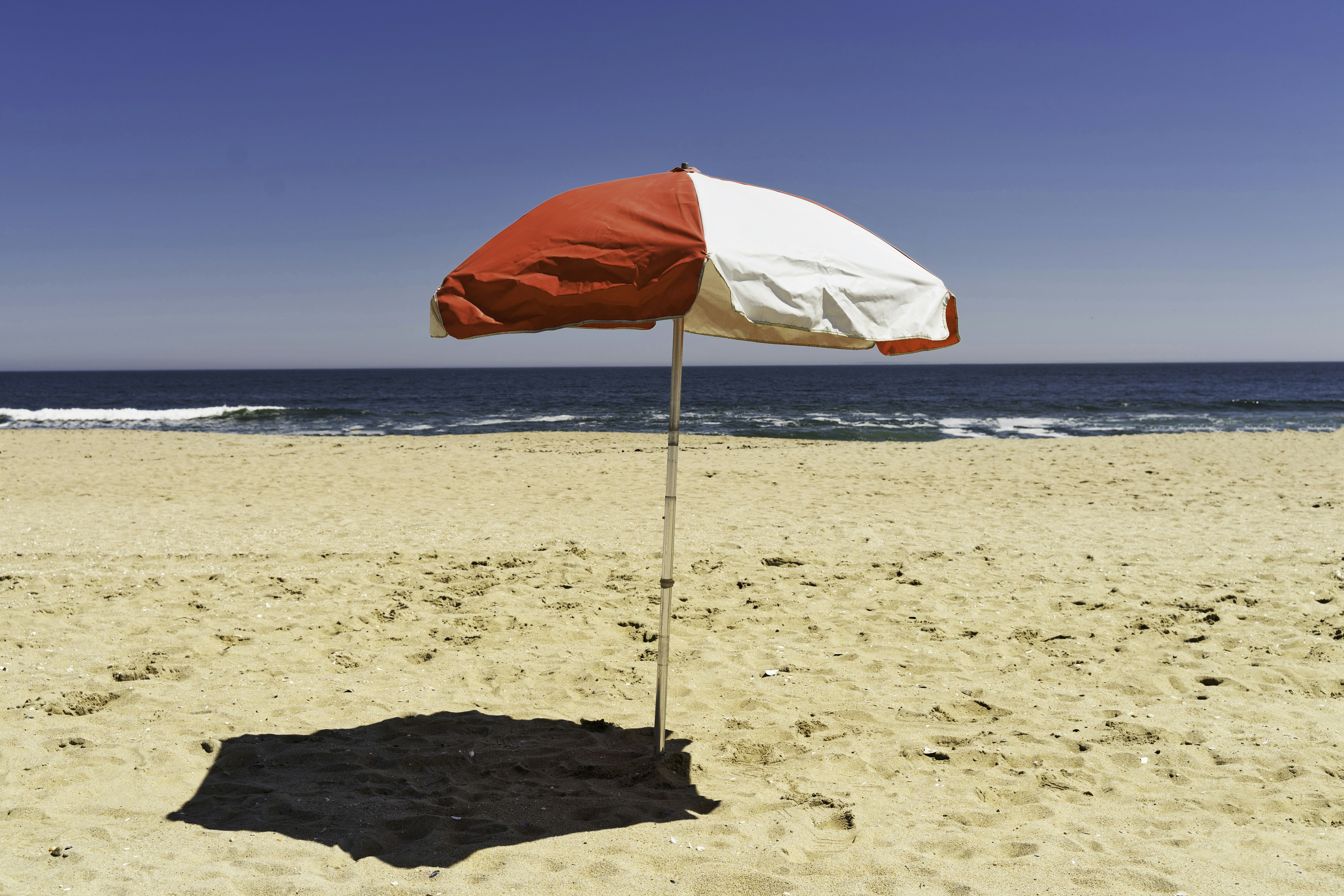 Solitary Shade on the Shoreline