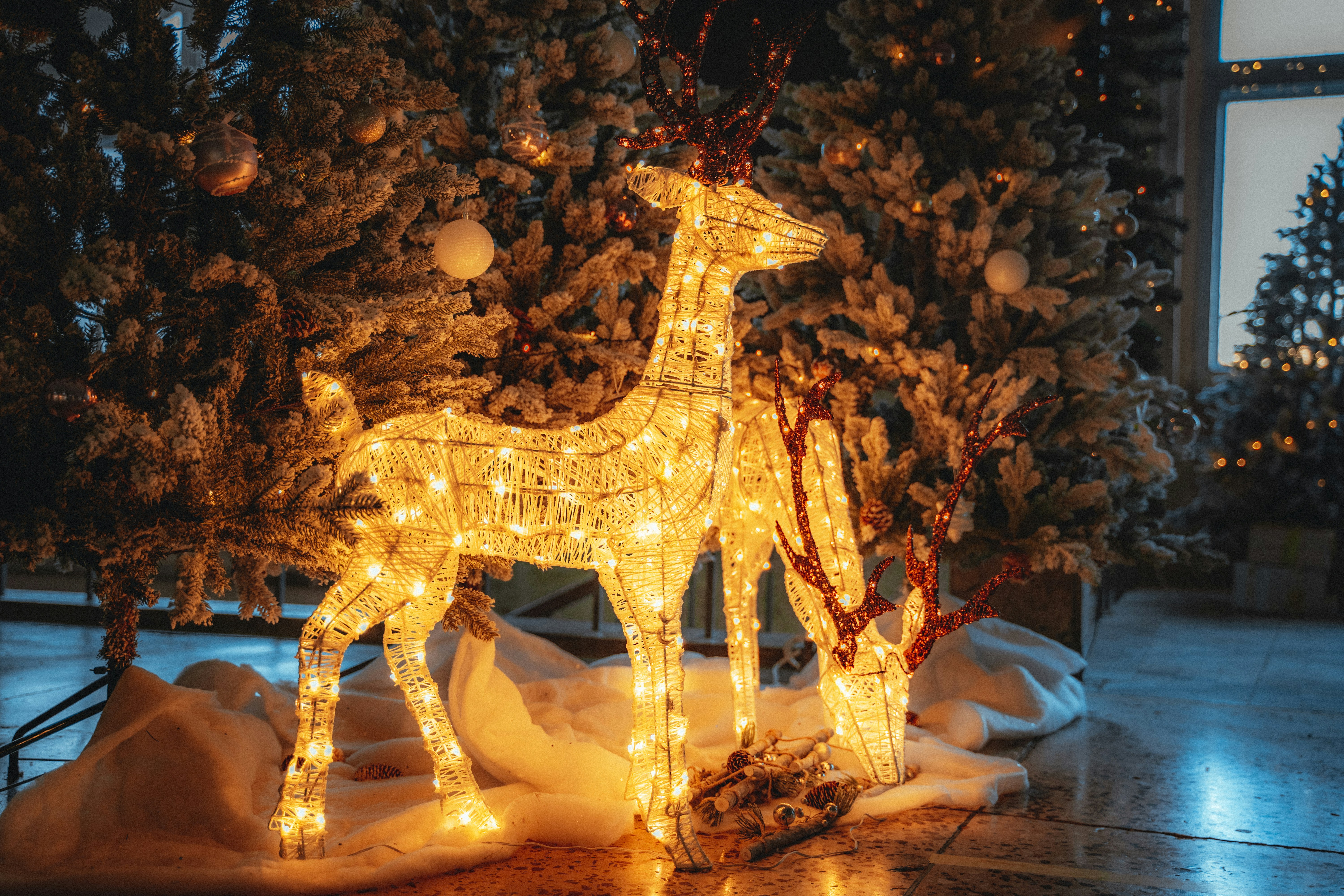 Glowing Reindeer under a Snowy Display