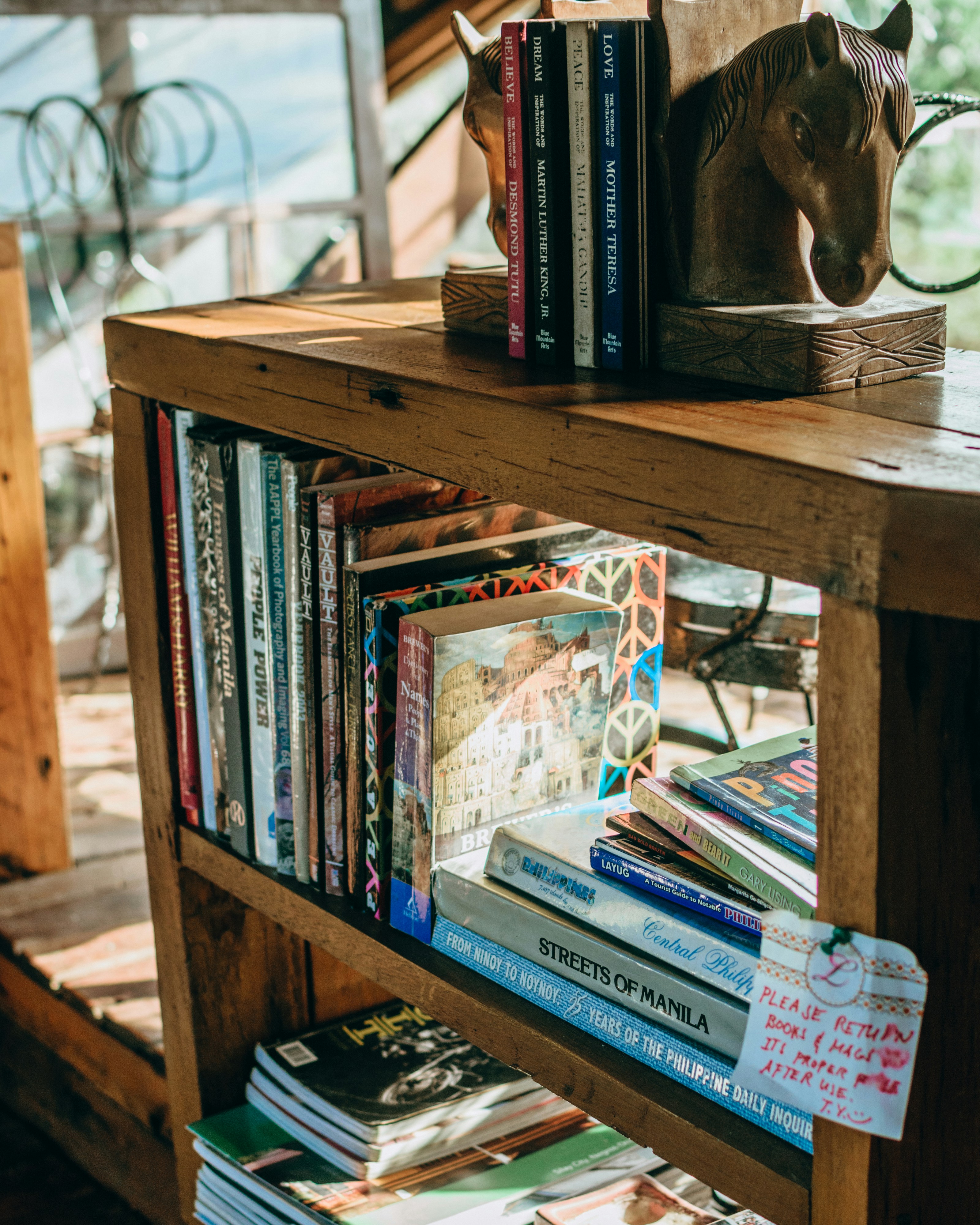 Sunlit Shelf: A Rustic Corner Brimming with Books and a Horse Bust