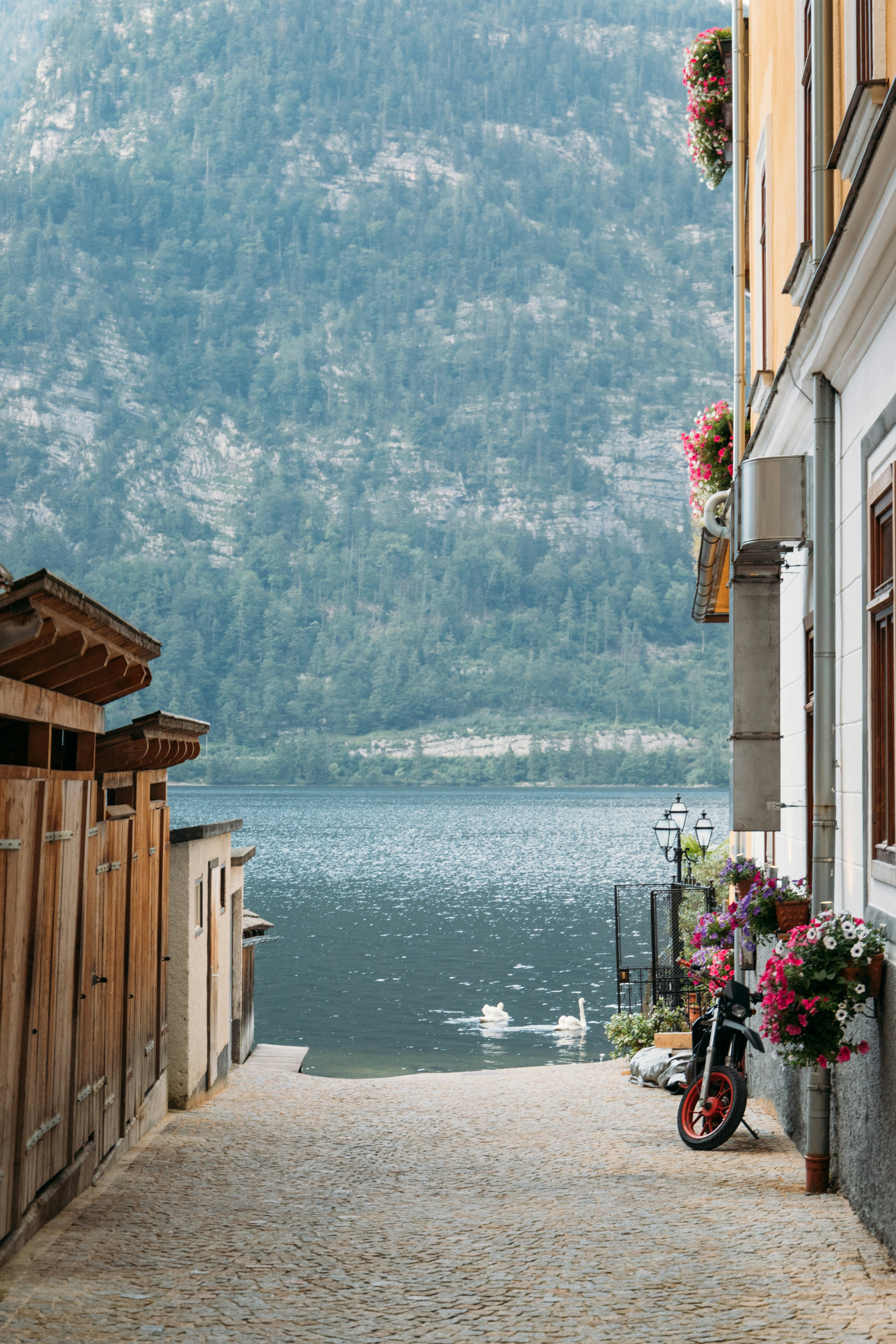 Charming lakeside path flanked by wooden structures and vibrant flowers, leading to tranquil waters with swans gliding gracefully.