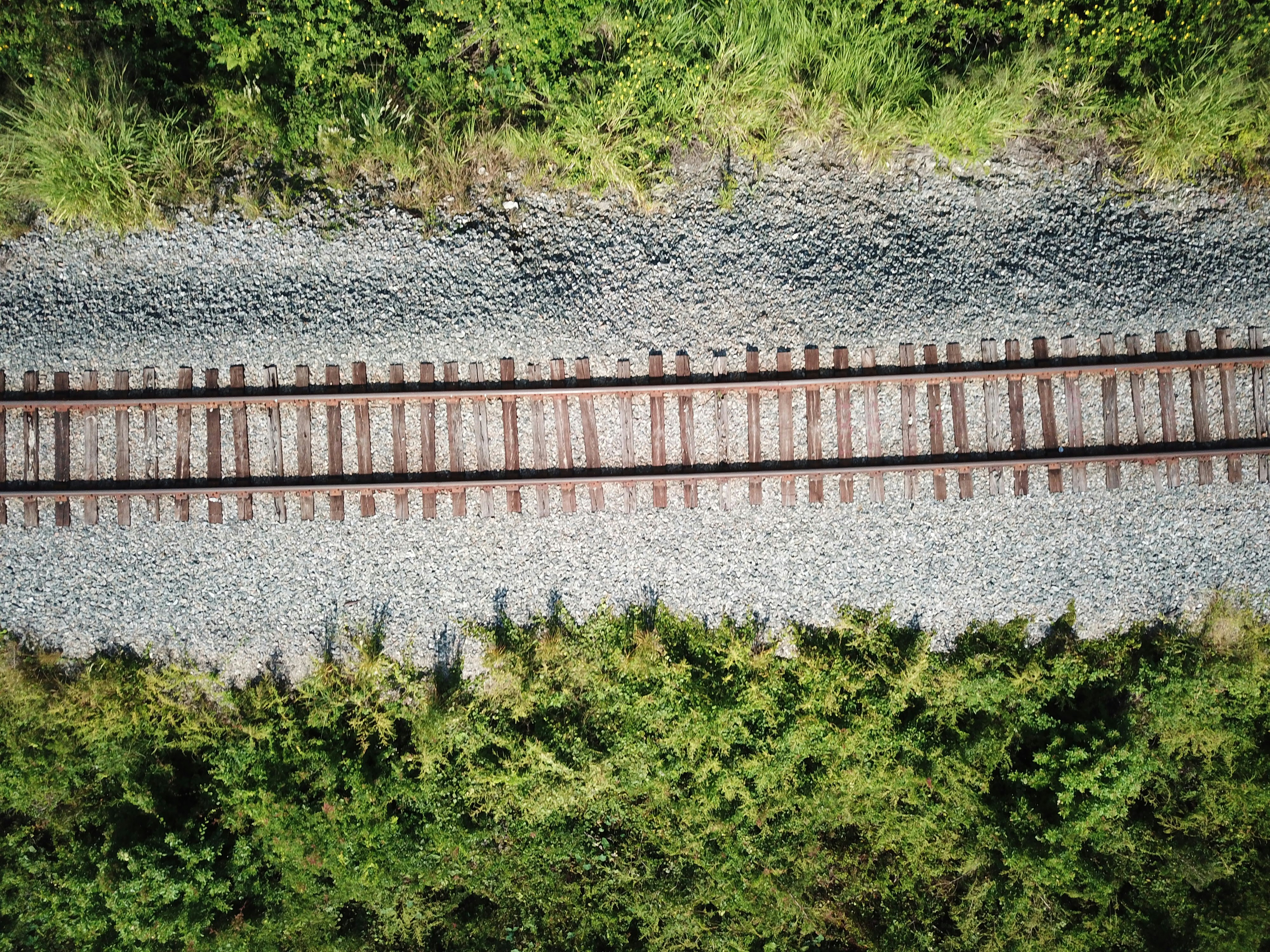 Old railroad tracks cutting through dense green vegetation from an aerial perspective.