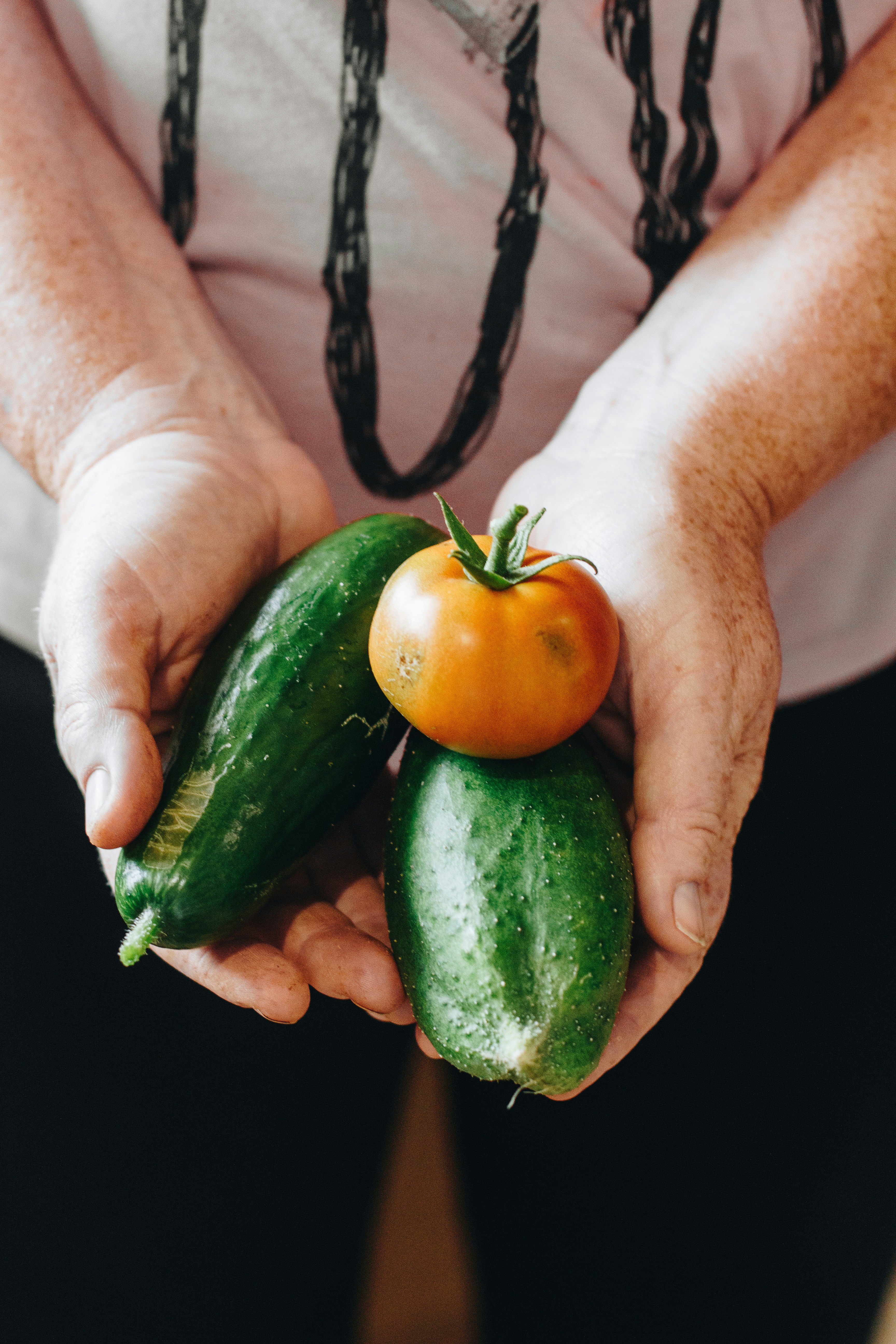 Person holding green cucumber and tomato photo – Free Food Image on ...