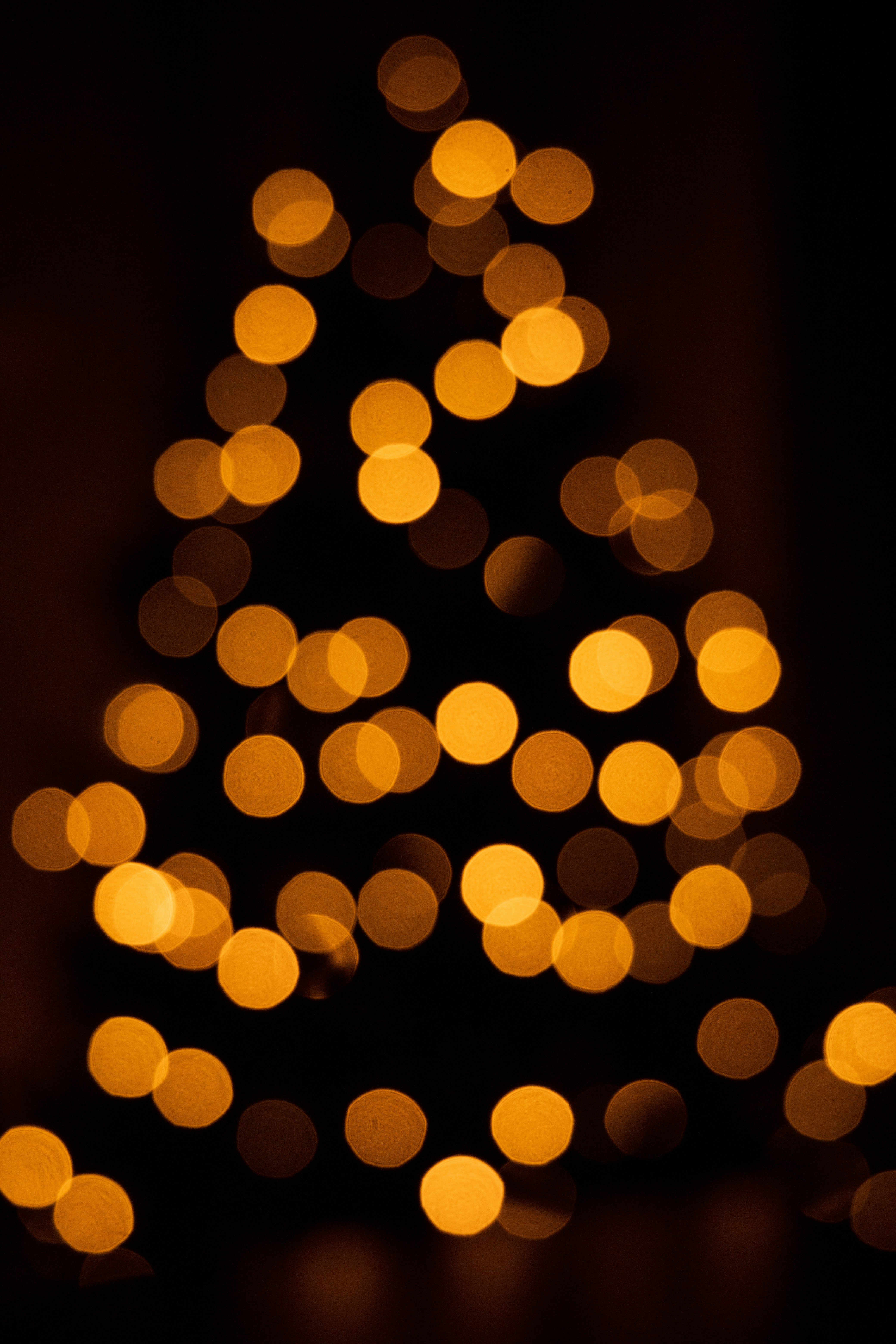 A softly blurred Christmas tree adorned with warm golden lights creating a soothing ambiance.