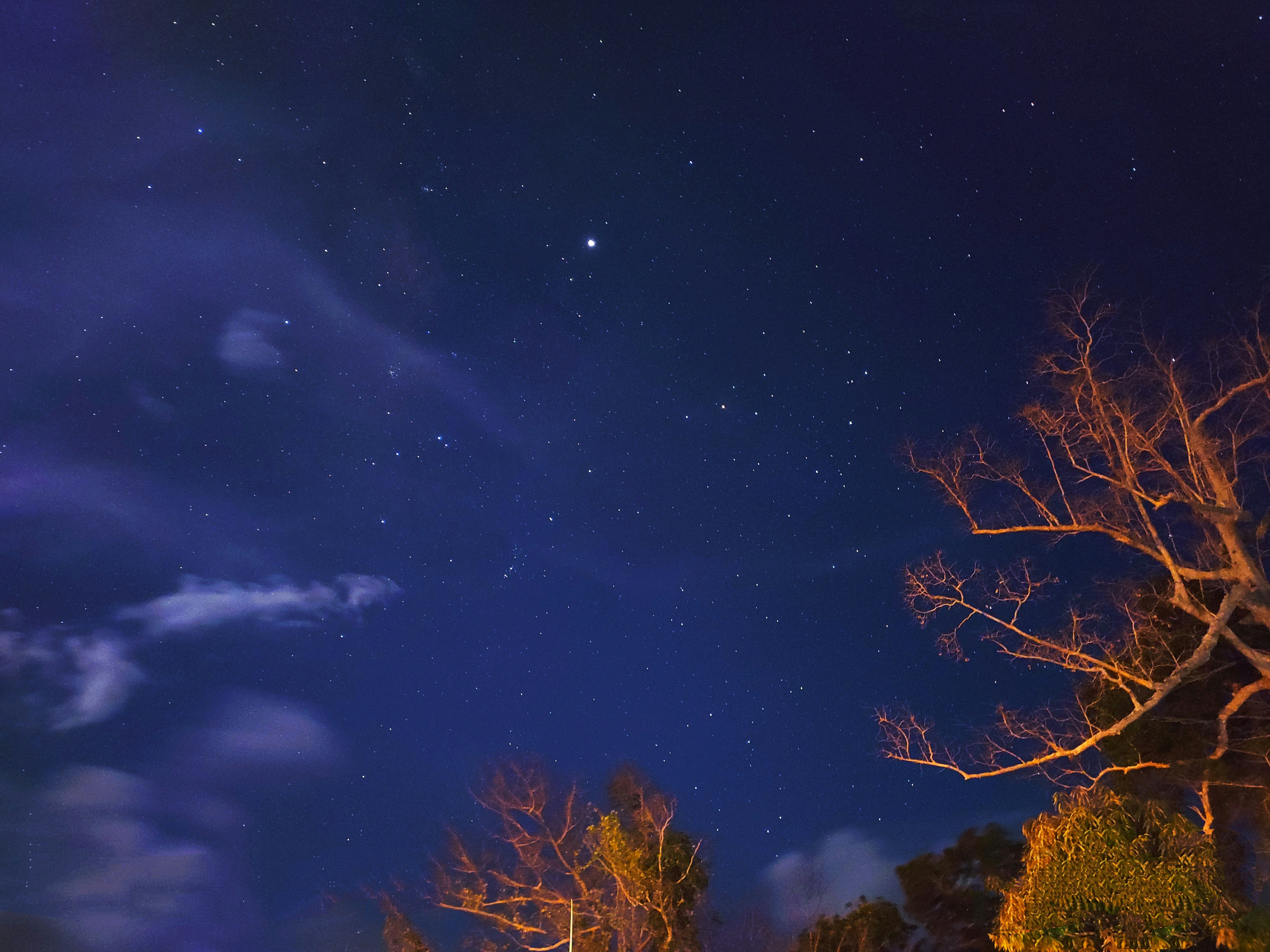 Starry Nights Pictures | Download Free Images on Unsplash