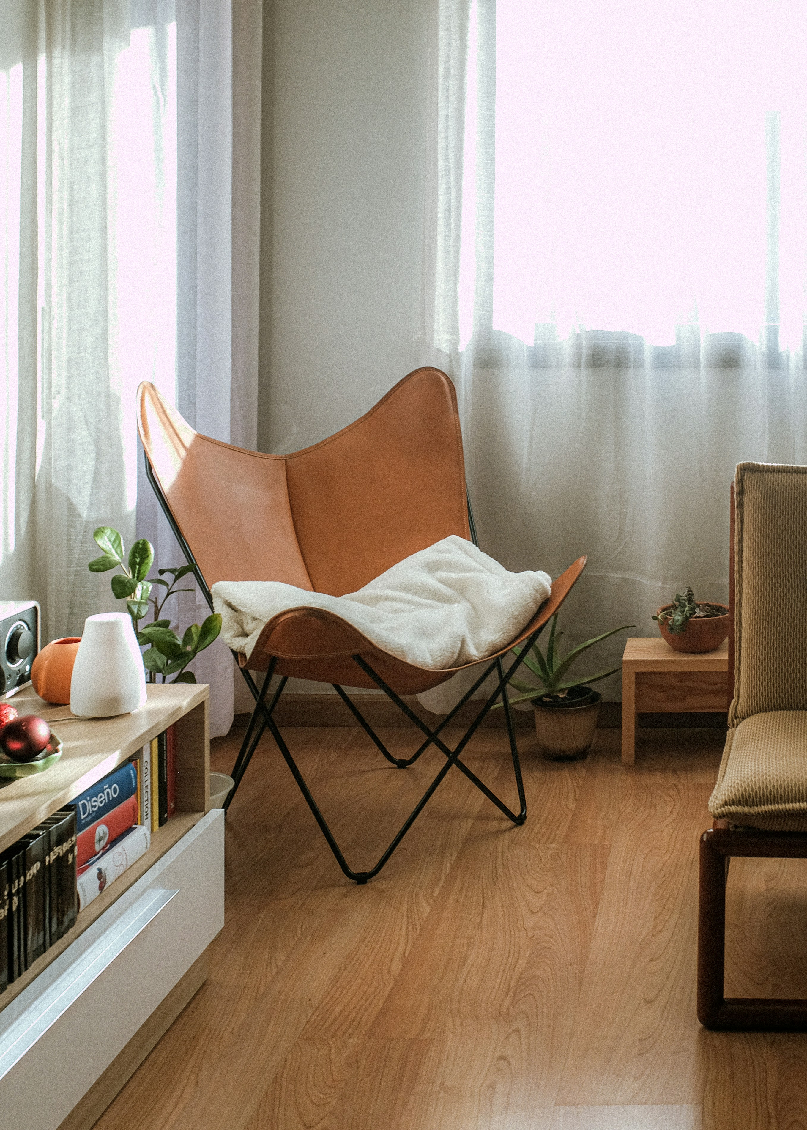 Leather butterfly chair with a cozy blanket in a sunlit corner, surrounded by plants and books.