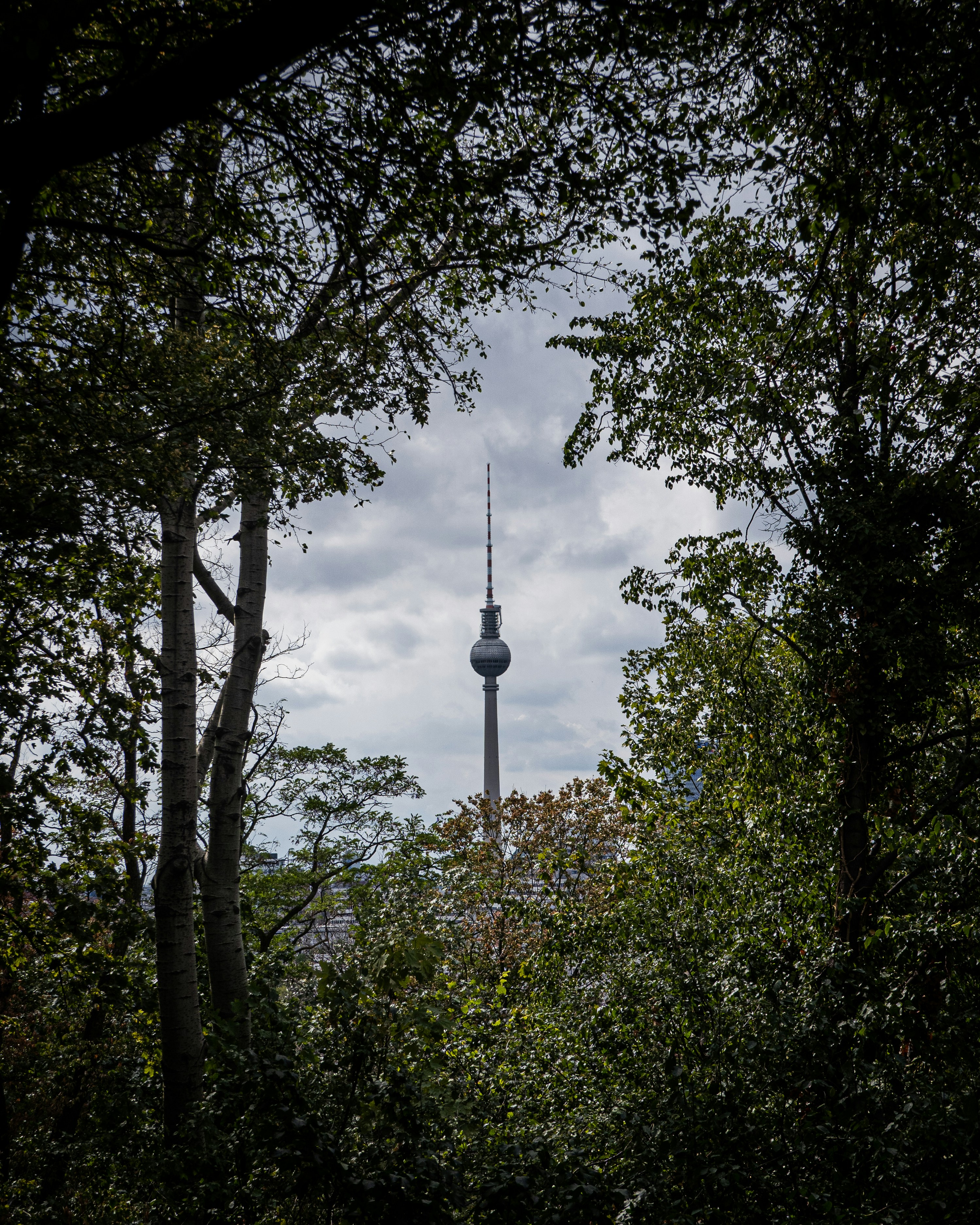 Television tower rises above the treetops, framed by lush greenery and cloudy skies.