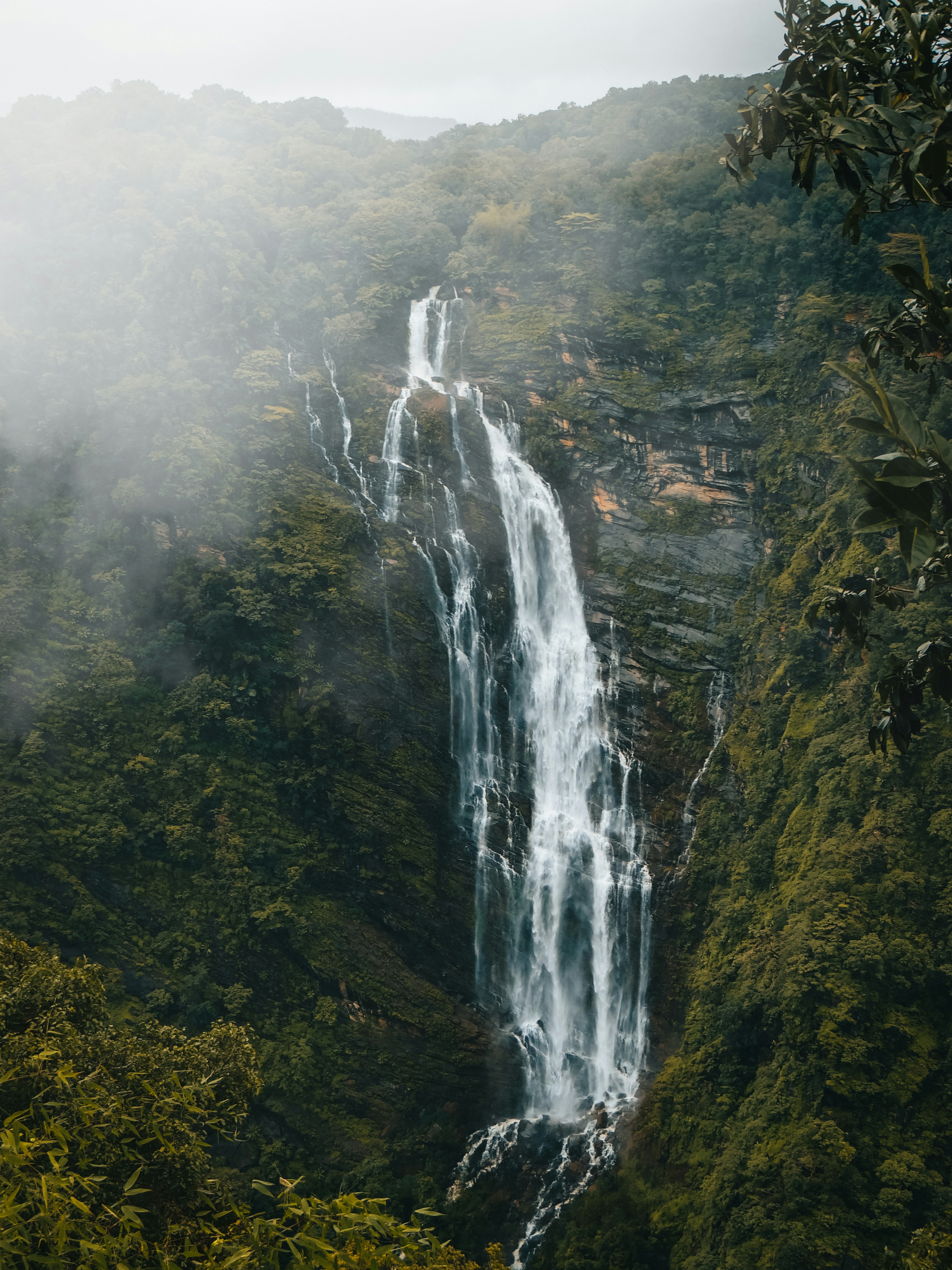 Majestic waterfall cascading down a lush green cliff, enveloped in mist and surrounded by dense foliage.