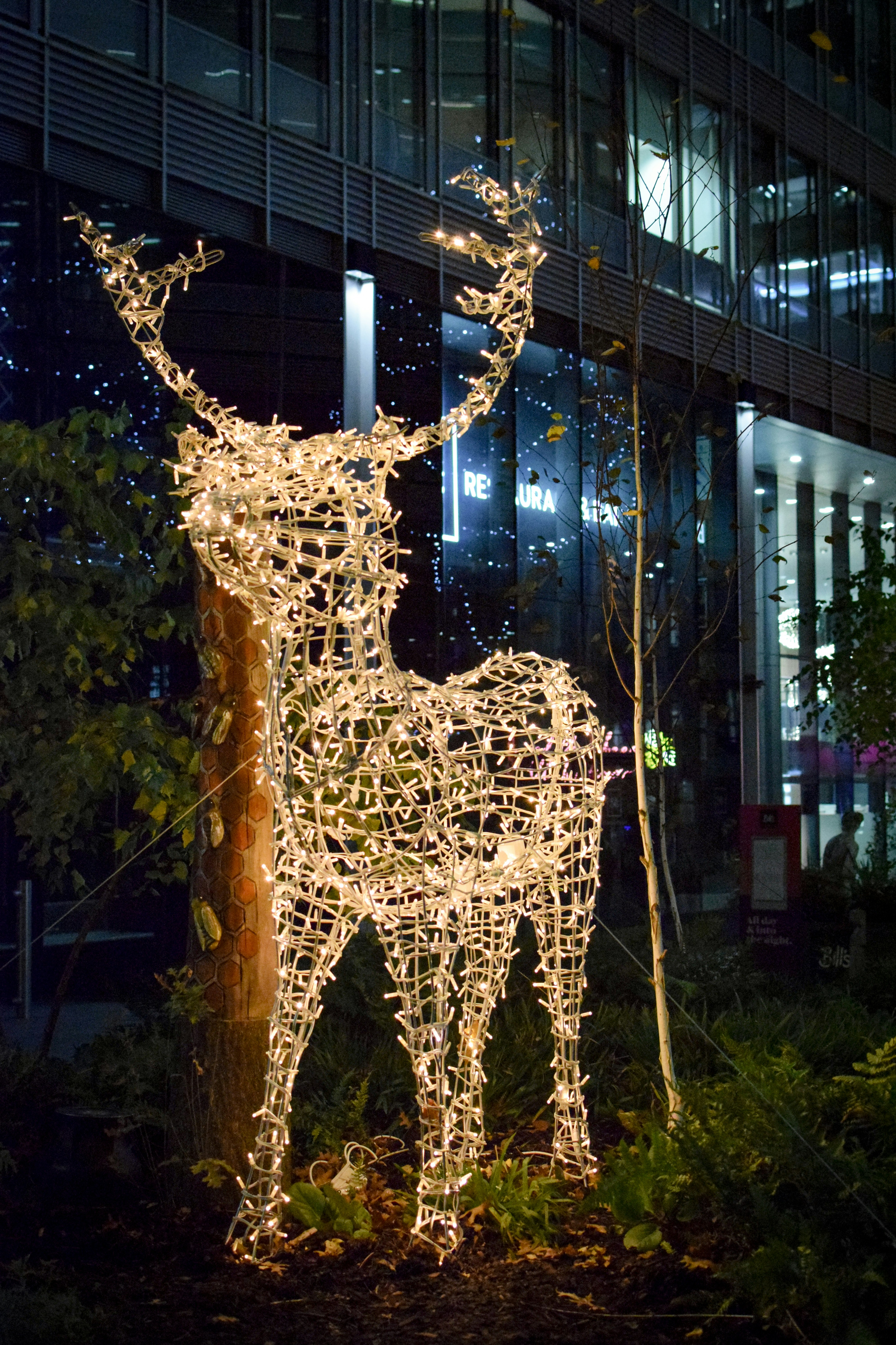 Life-size deer sculpture formed of warm white string lights stands in a nighttime city plaza beside a glass-front building.