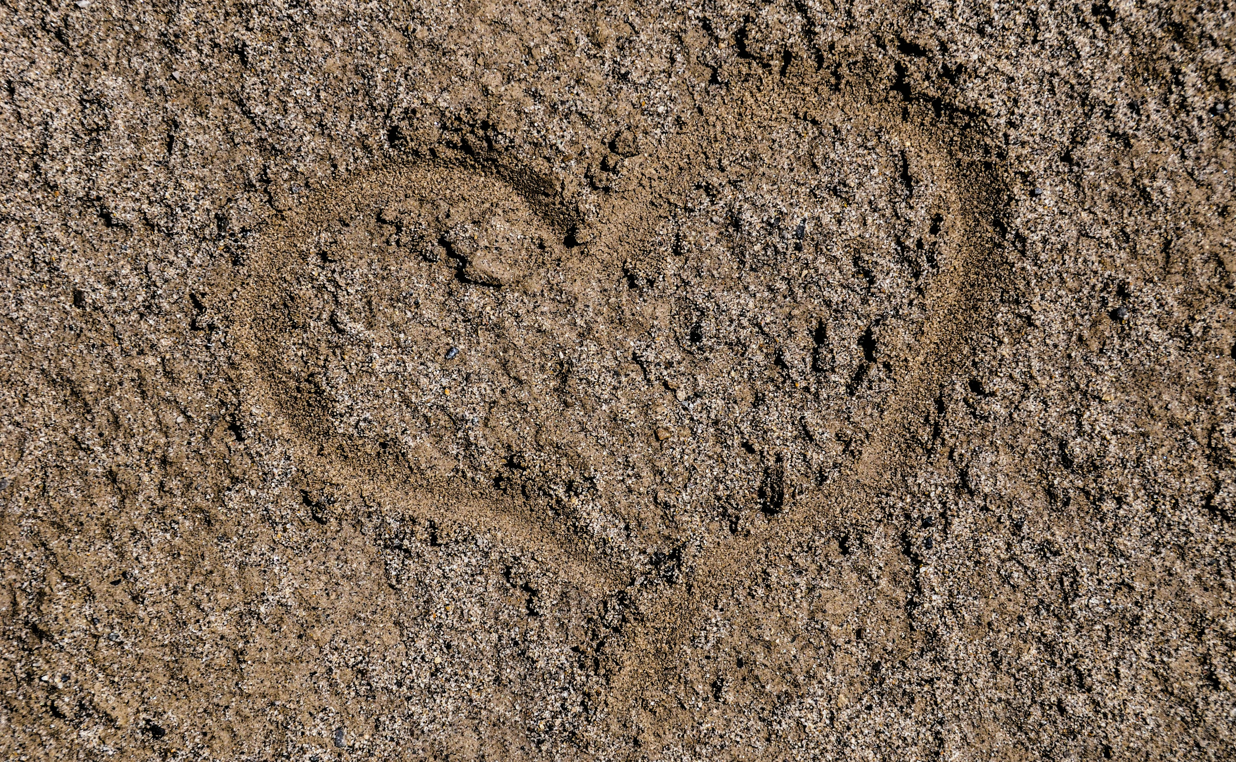 Seaside Heart: A Delicate Sand Impression on Sunlit Granules