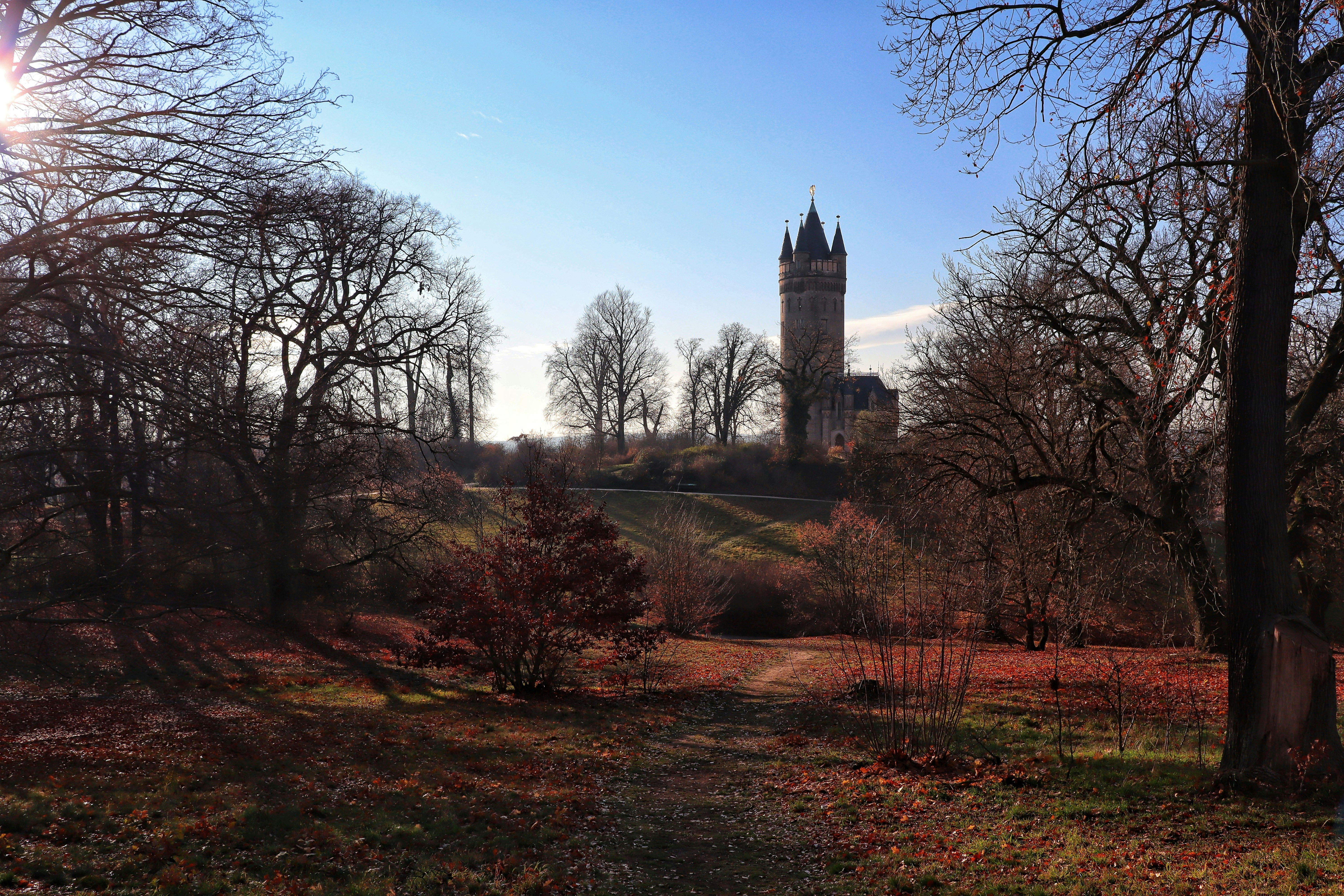 Historic tower framed by bare trees against a bright blue sky in a serene landscape.
