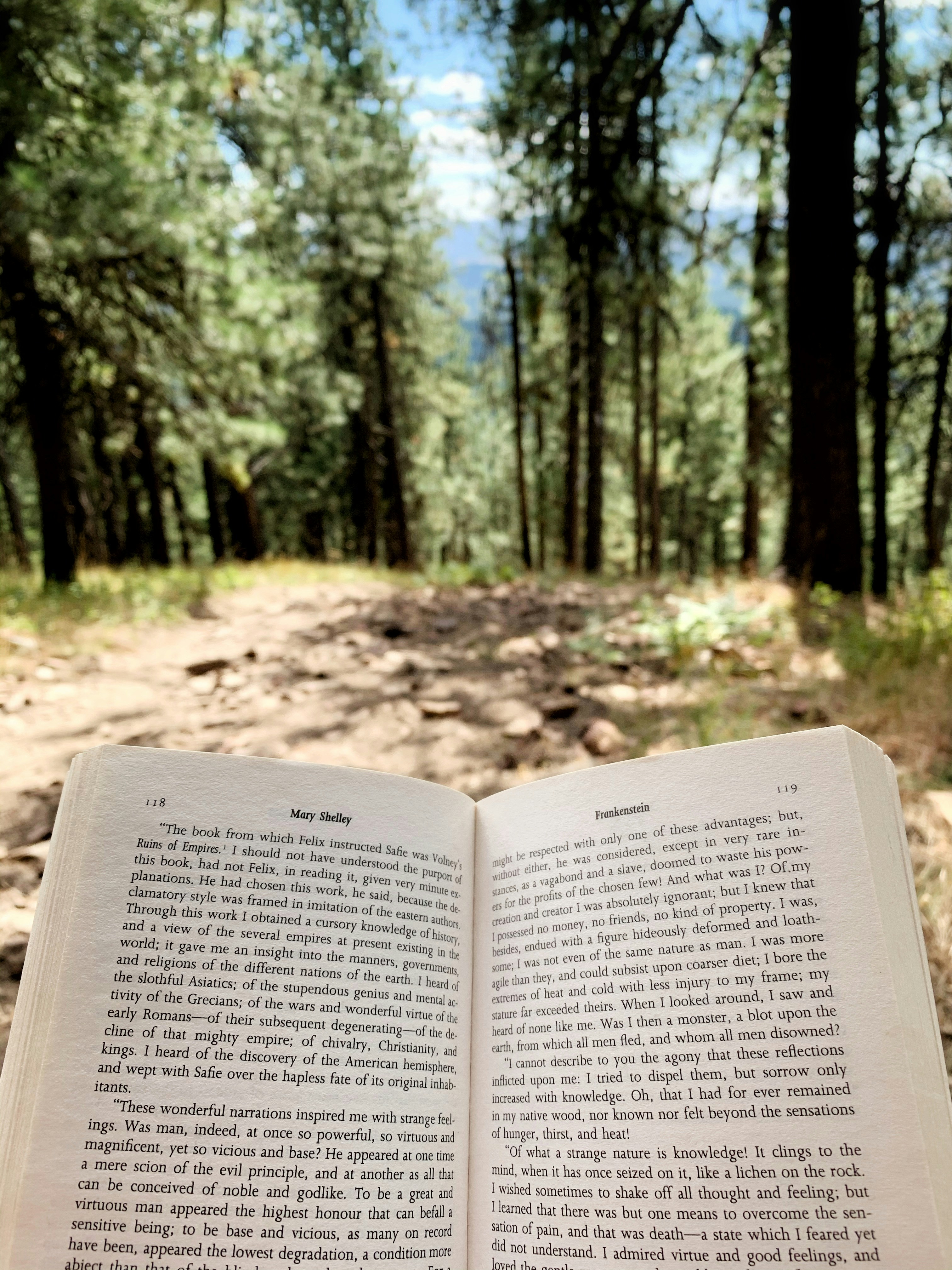 Cara Thomson (@carathomson) | Unsplash 사진 커뮤니티