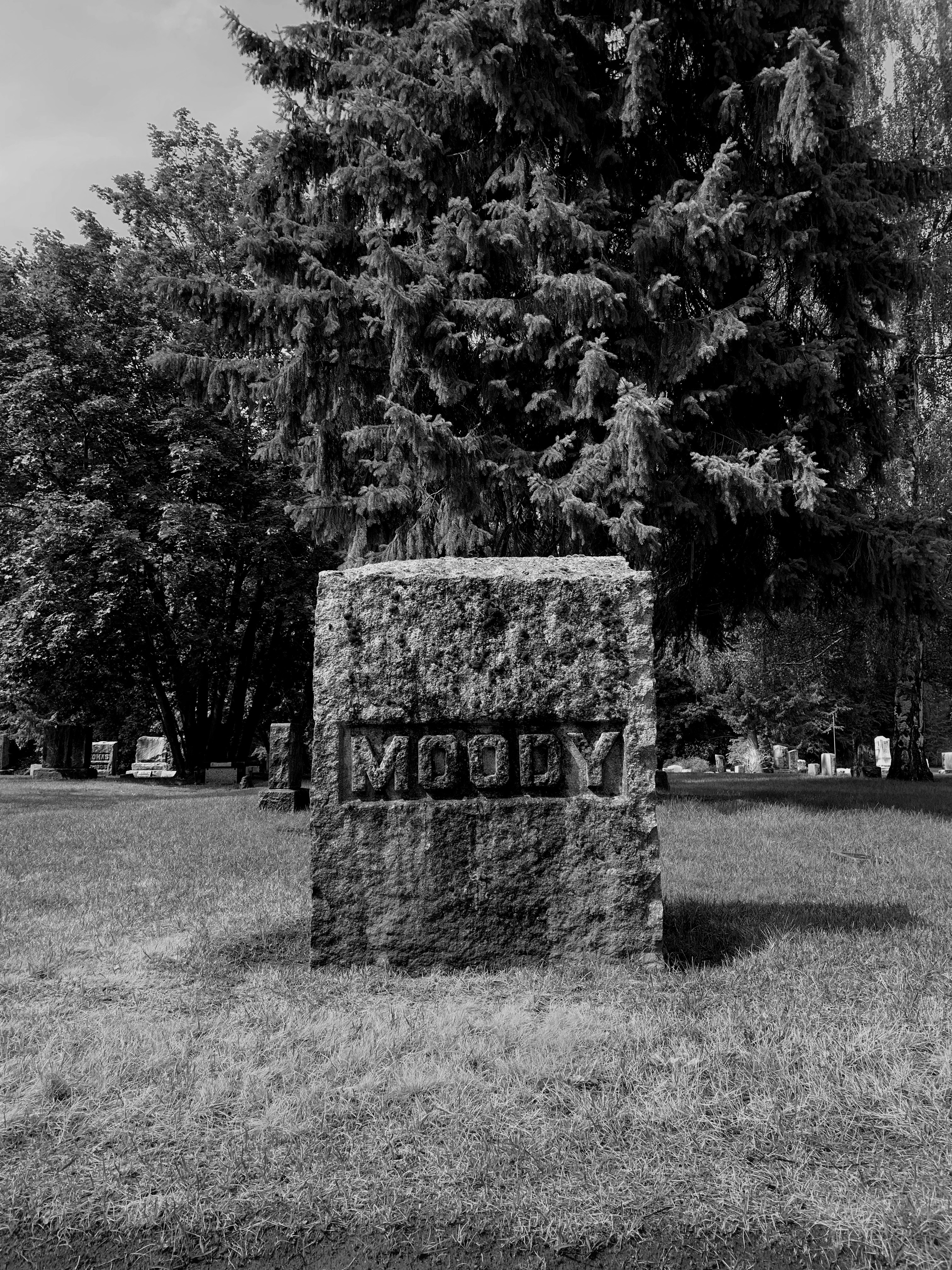 Cara Thomson (@carathomson) | Unsplash 사진 커뮤니티