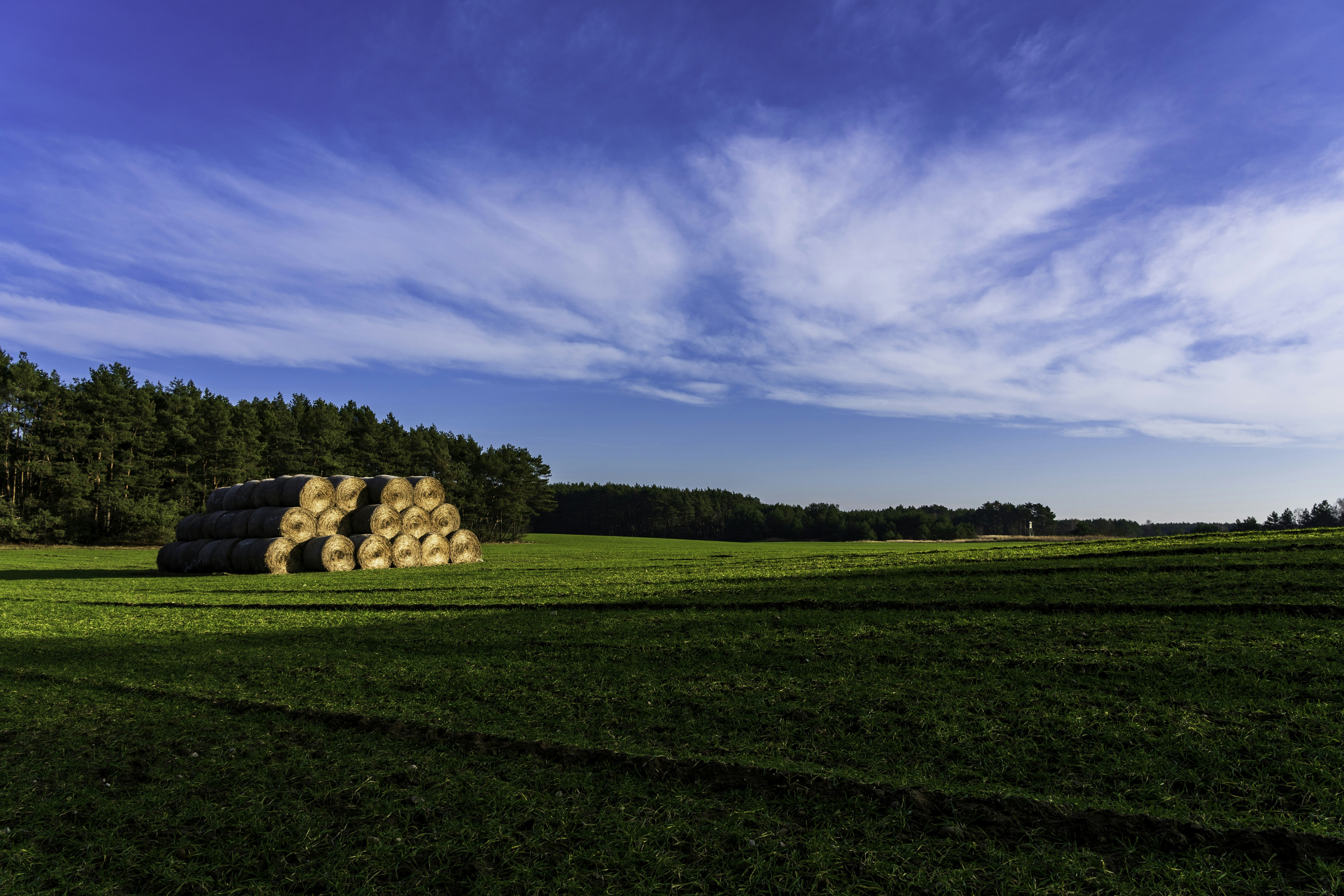 Harvest Stack at the Field’s Edge Under a Cerulean Sky