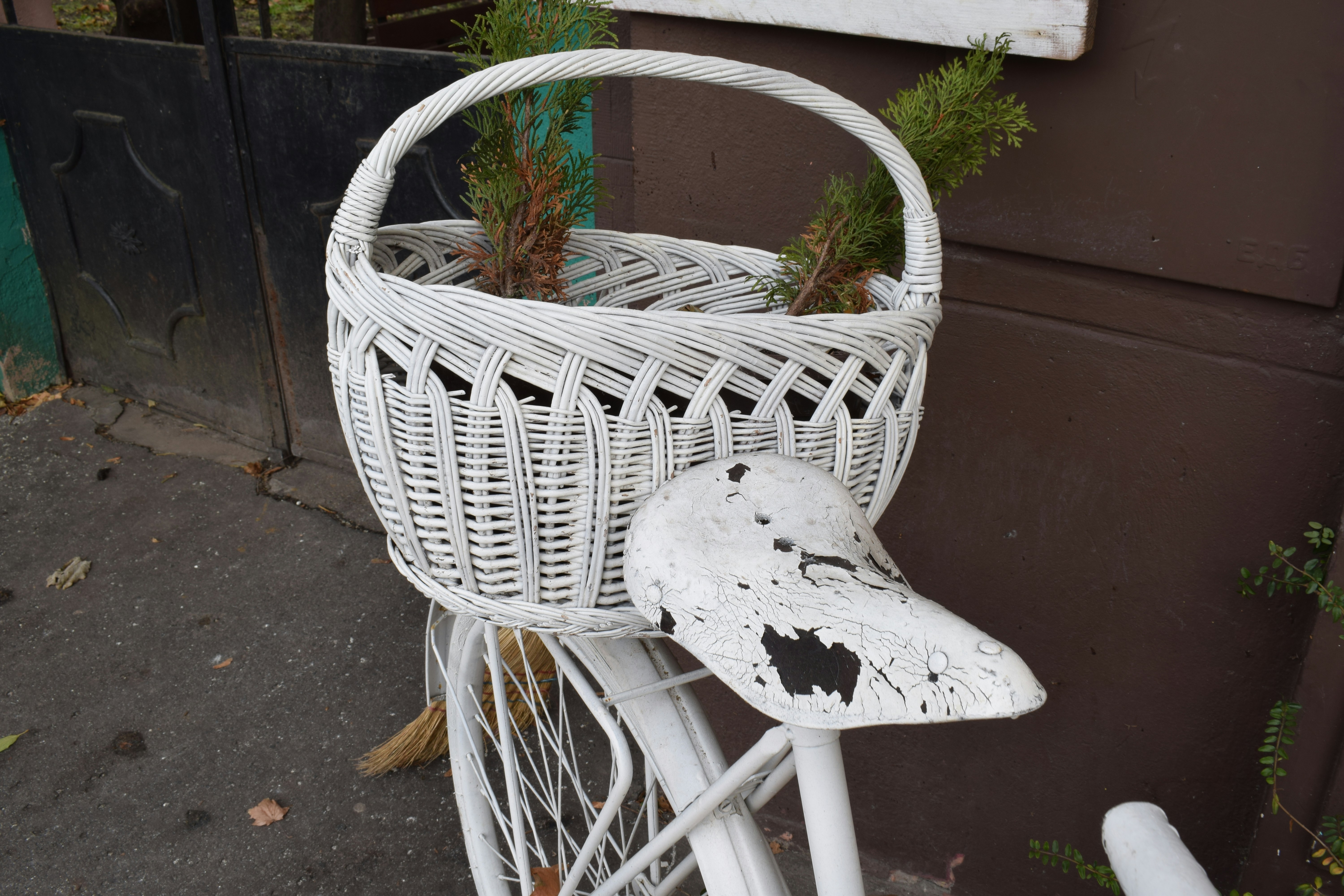 Weathered White Bicycle with a Plant-filled Wicker Basket