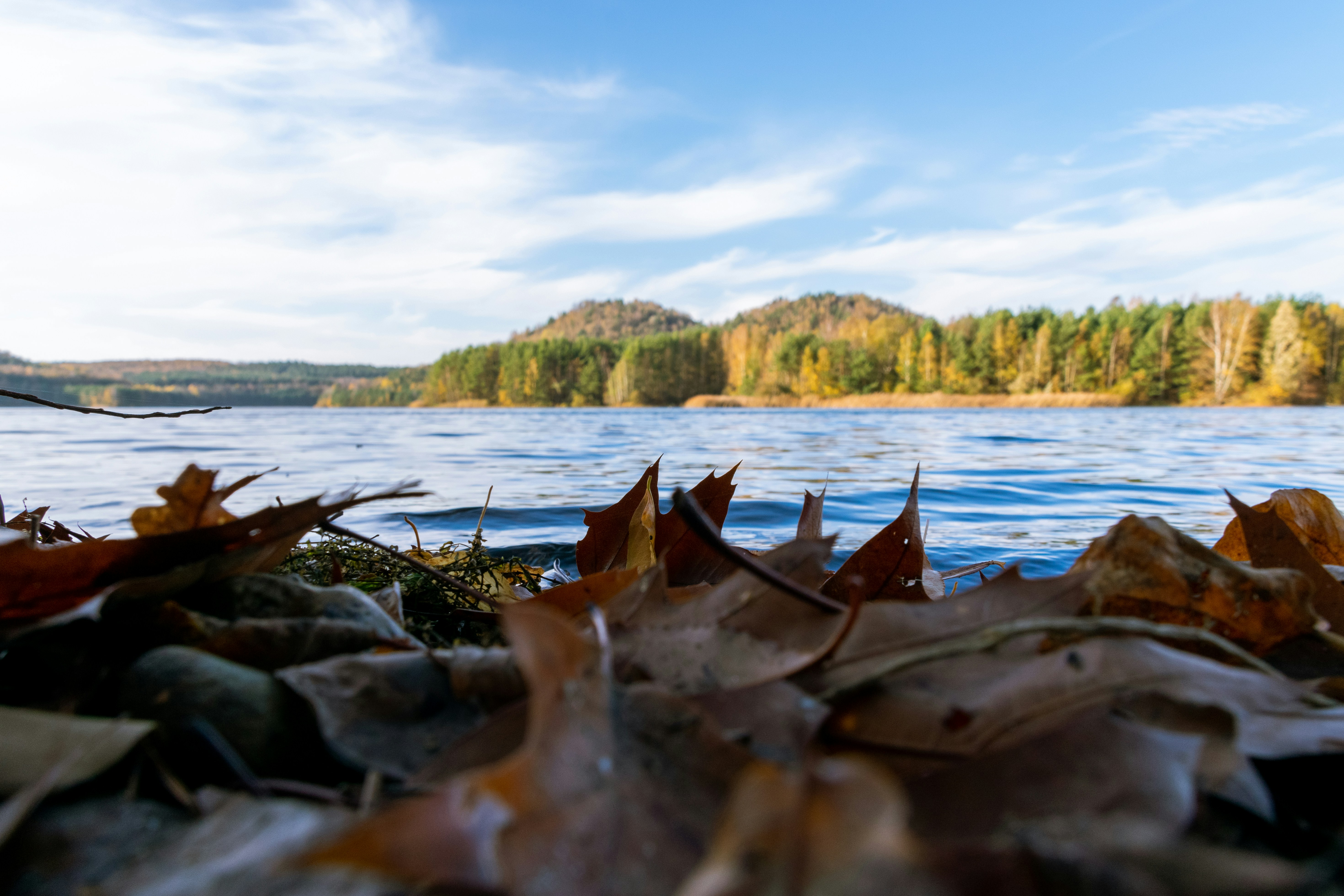 Autumn Leaves by the Tranquil Lake