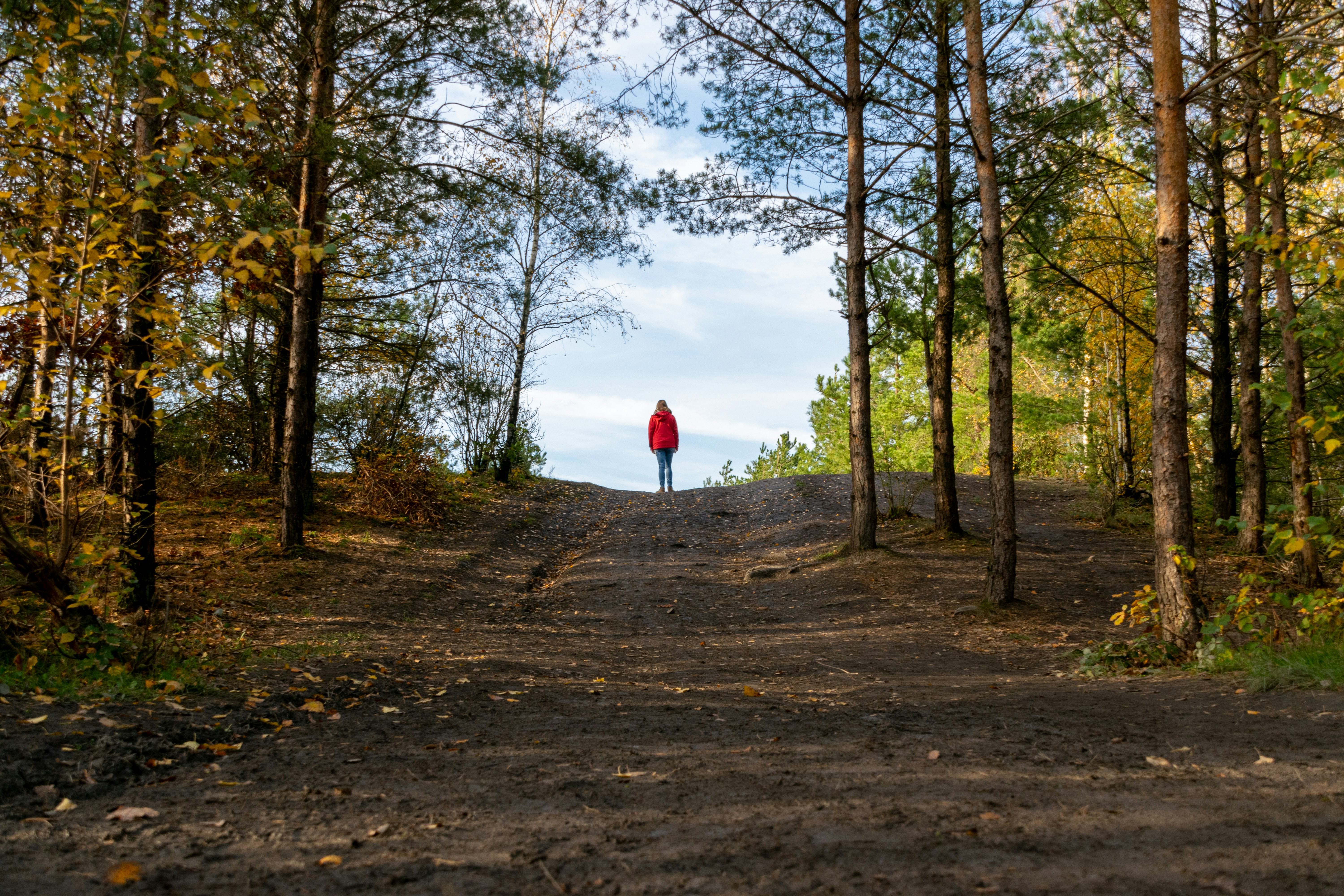 A solitary hiker at the crest: autumn path into light