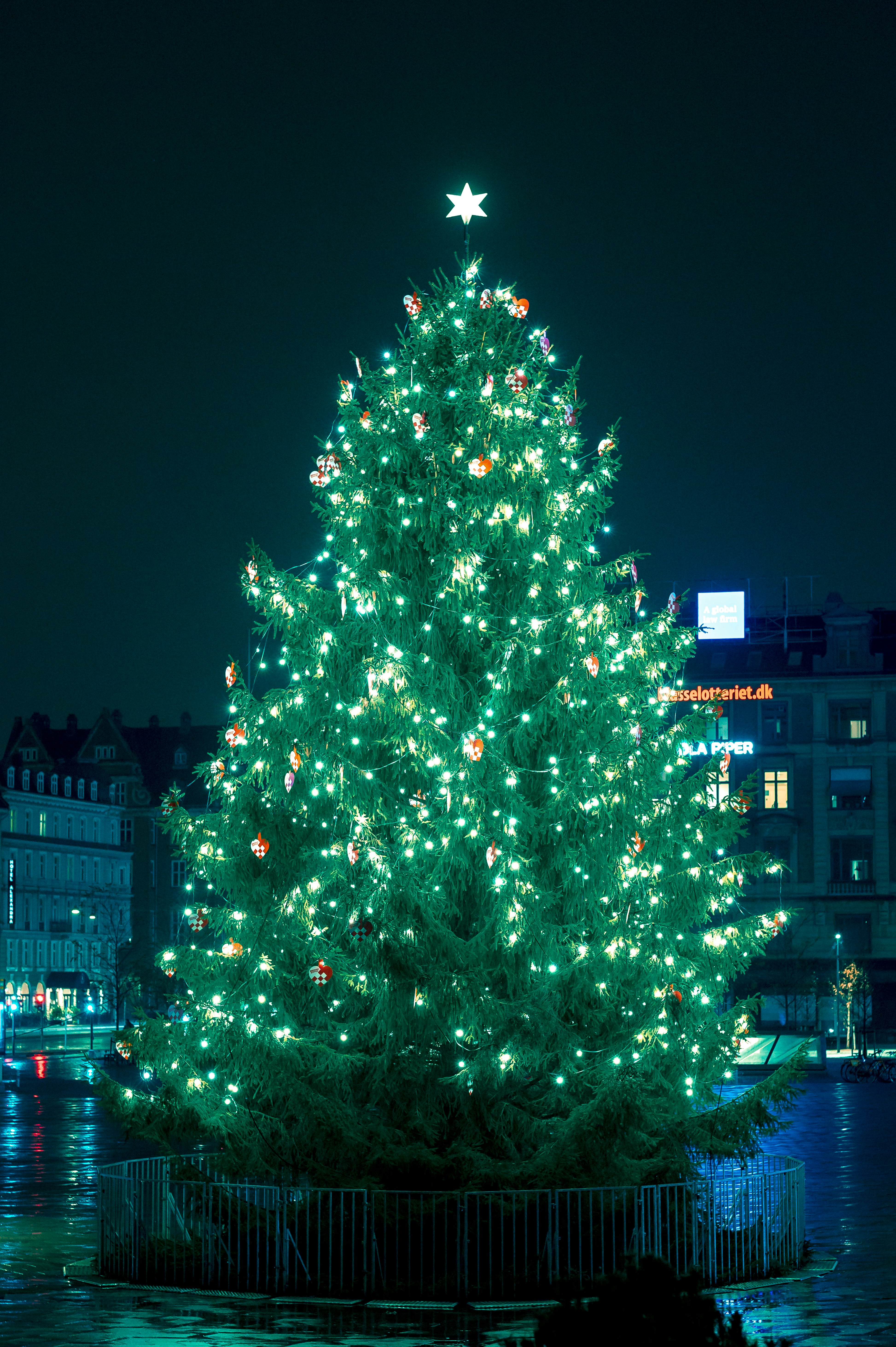 Green christmas tree with string lights during night time photo – Free ...