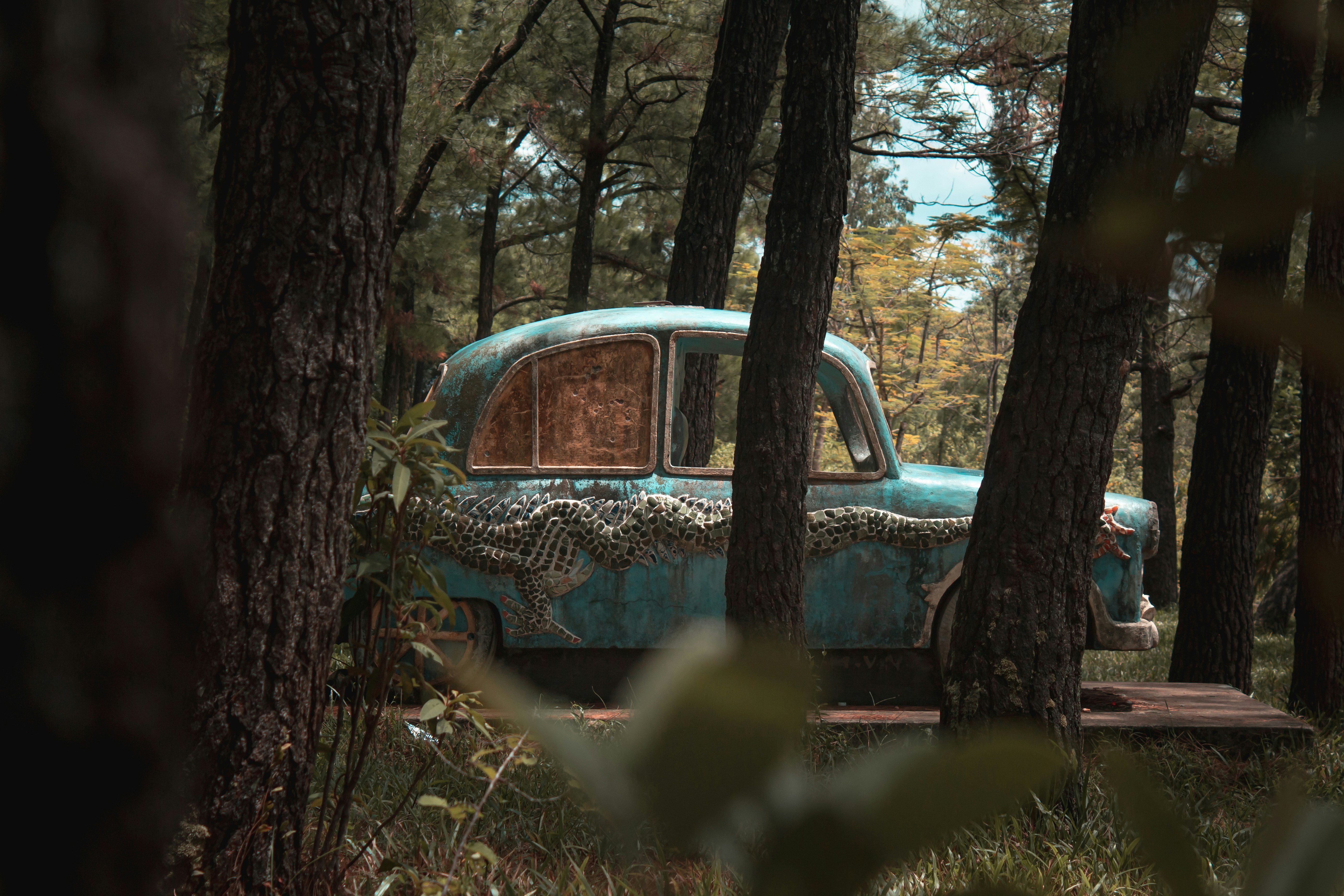 An old, turquoise car partially hidden among tall trees, showcasing nature reclaiming man-made structures.