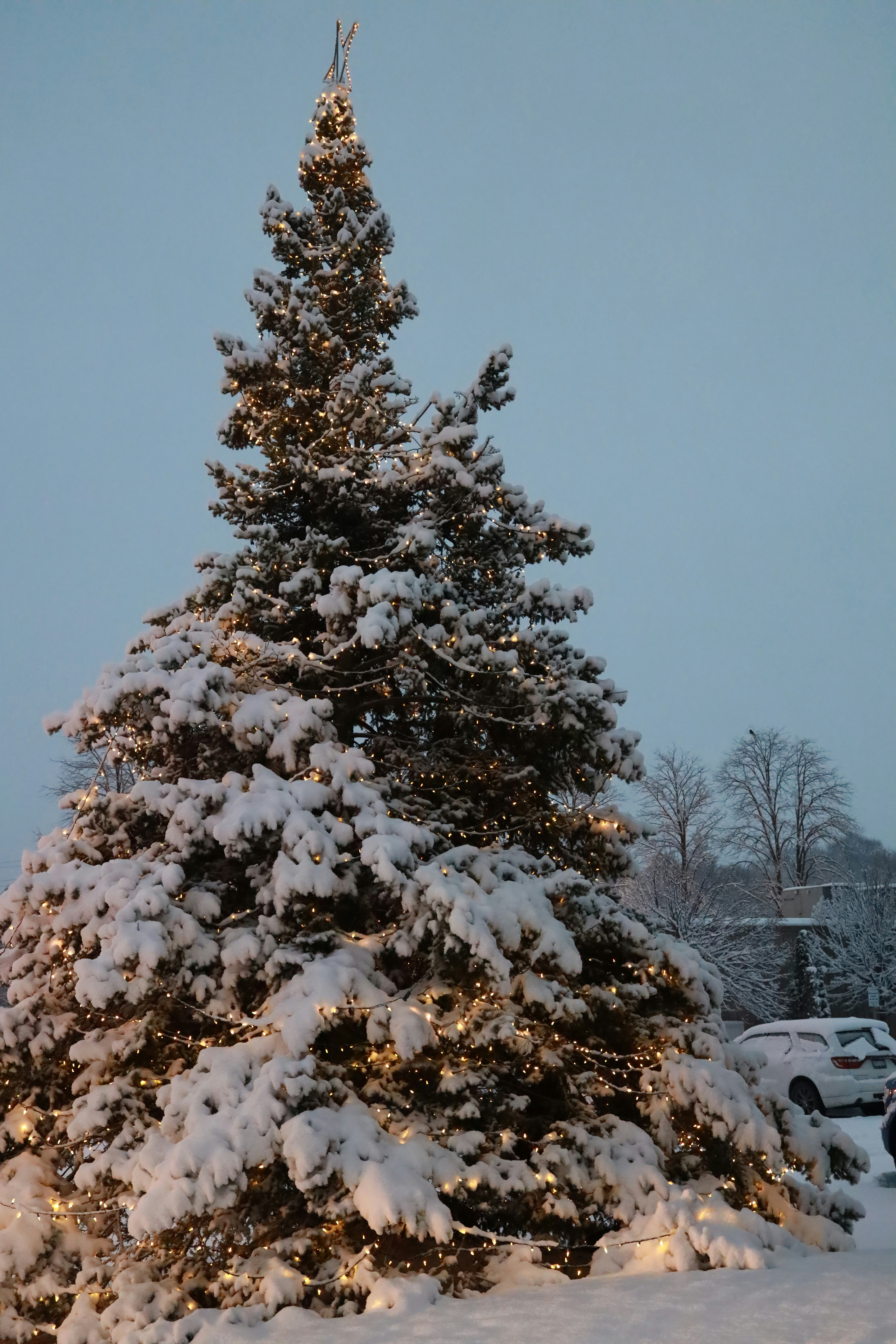 A majestic evergreen tree adorned with twinkling lights, blanketed in fresh snow against a twilight sky.