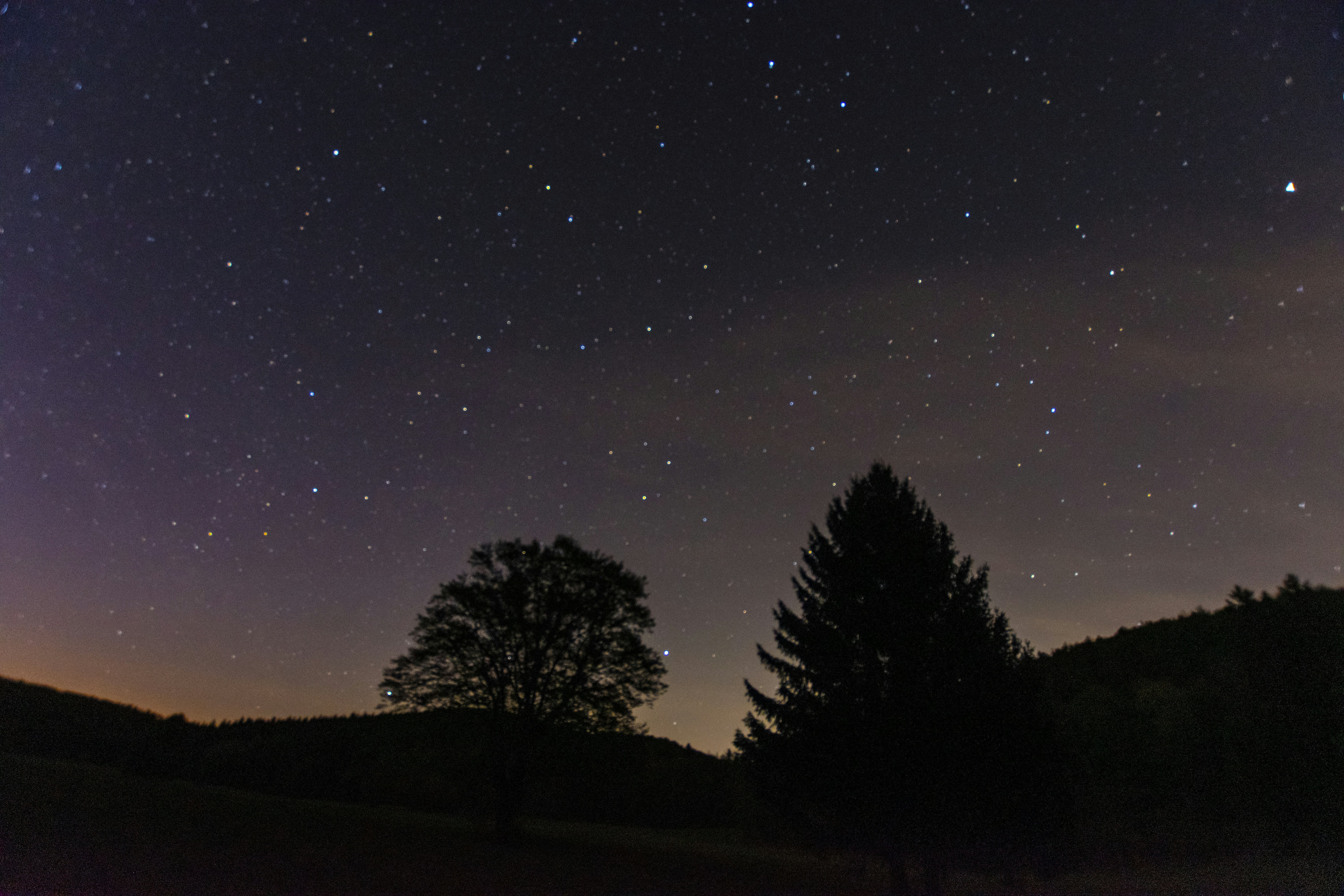 Starry night sky illuminated by distant celestial bodies, framed by dark silhouettes of trees in the foreground.